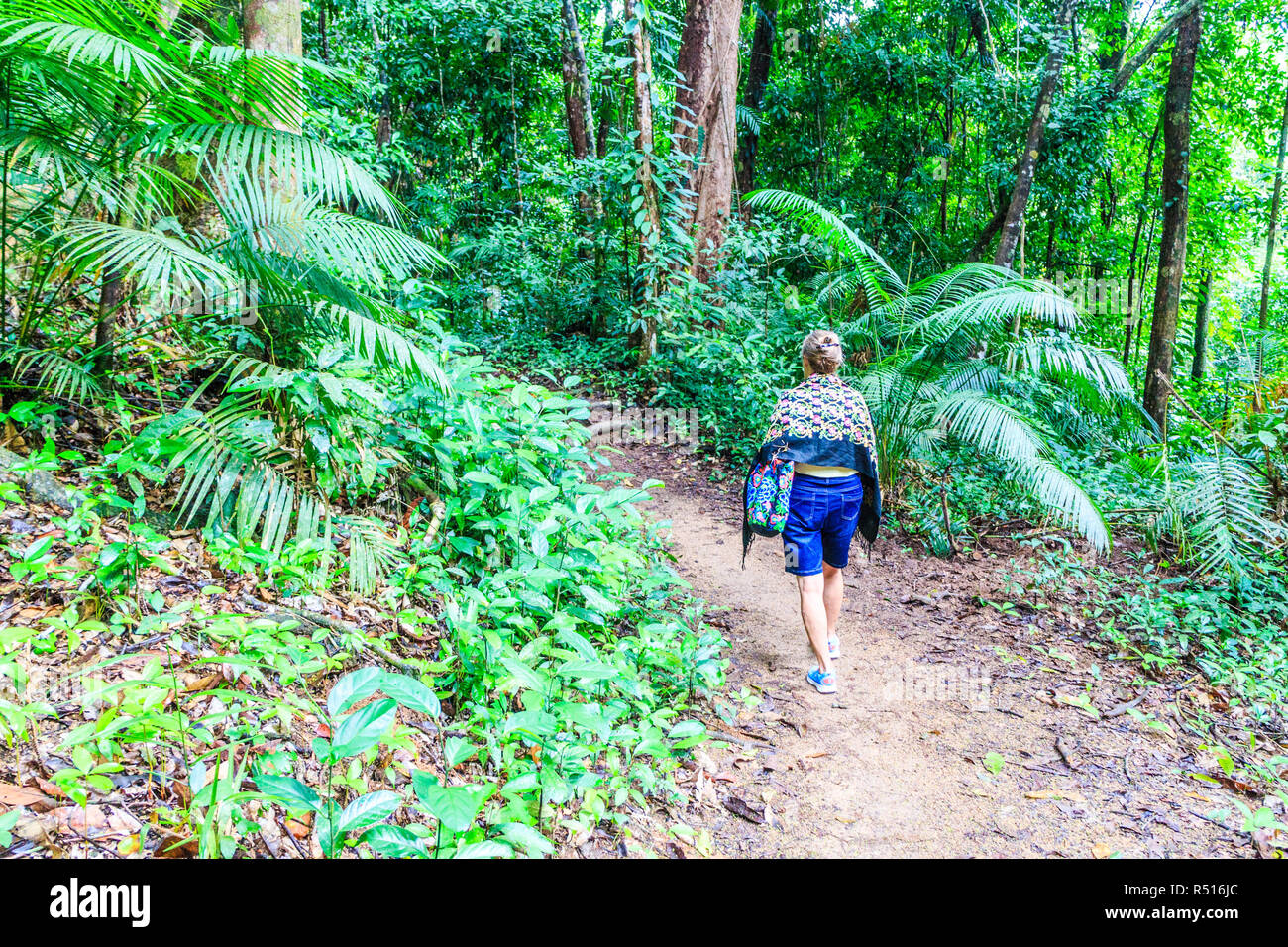 Walking along way green leaf hi-res stock photography and images - Alamy