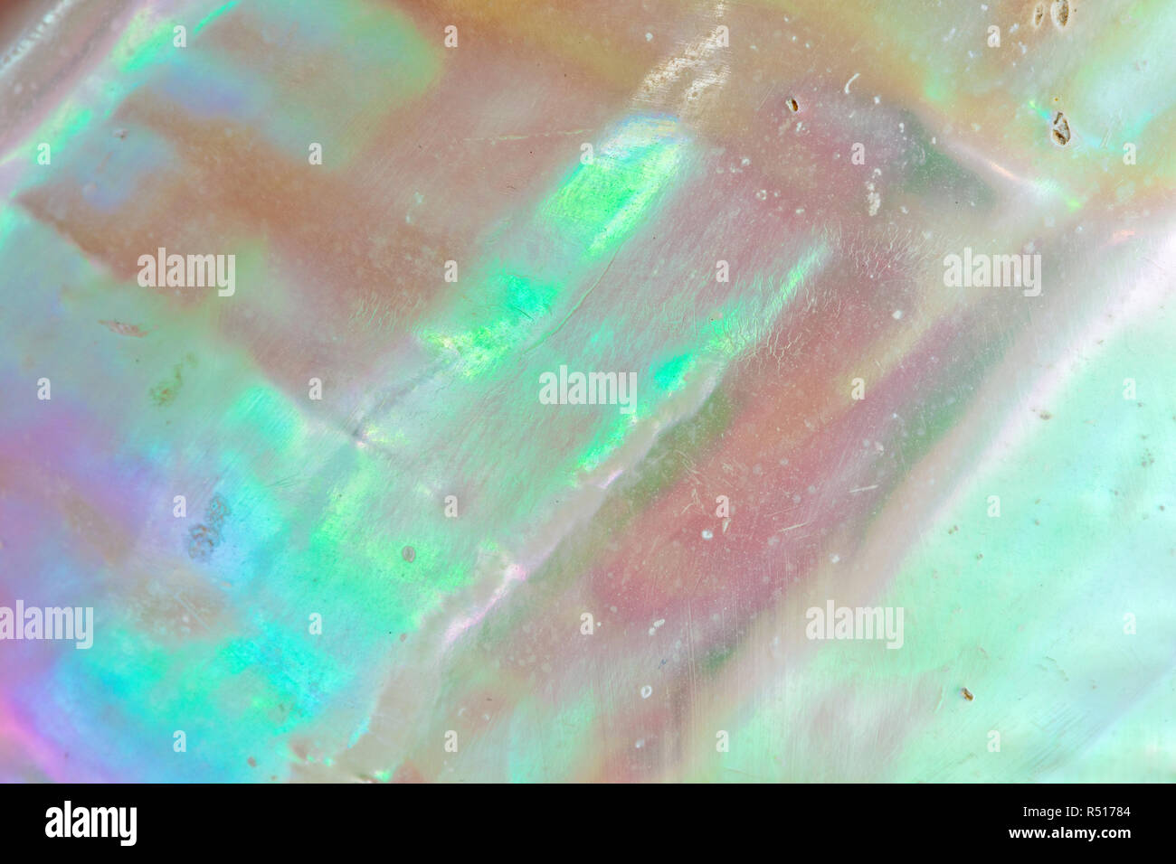 Mother of pearl sea shell close up background Stock Photo - Alamy