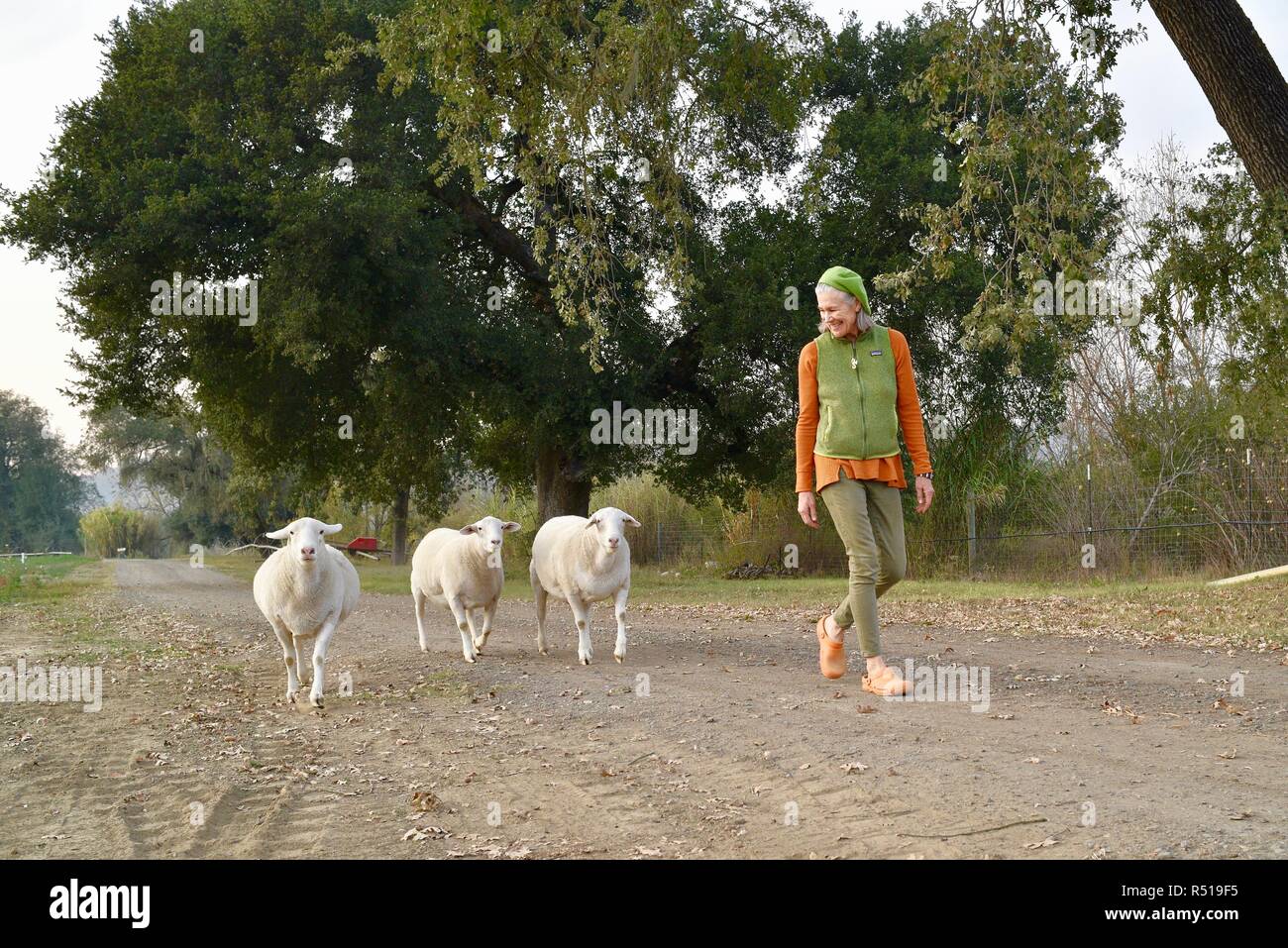 Female sheep farmer hi-res stock photography and images - Alamy