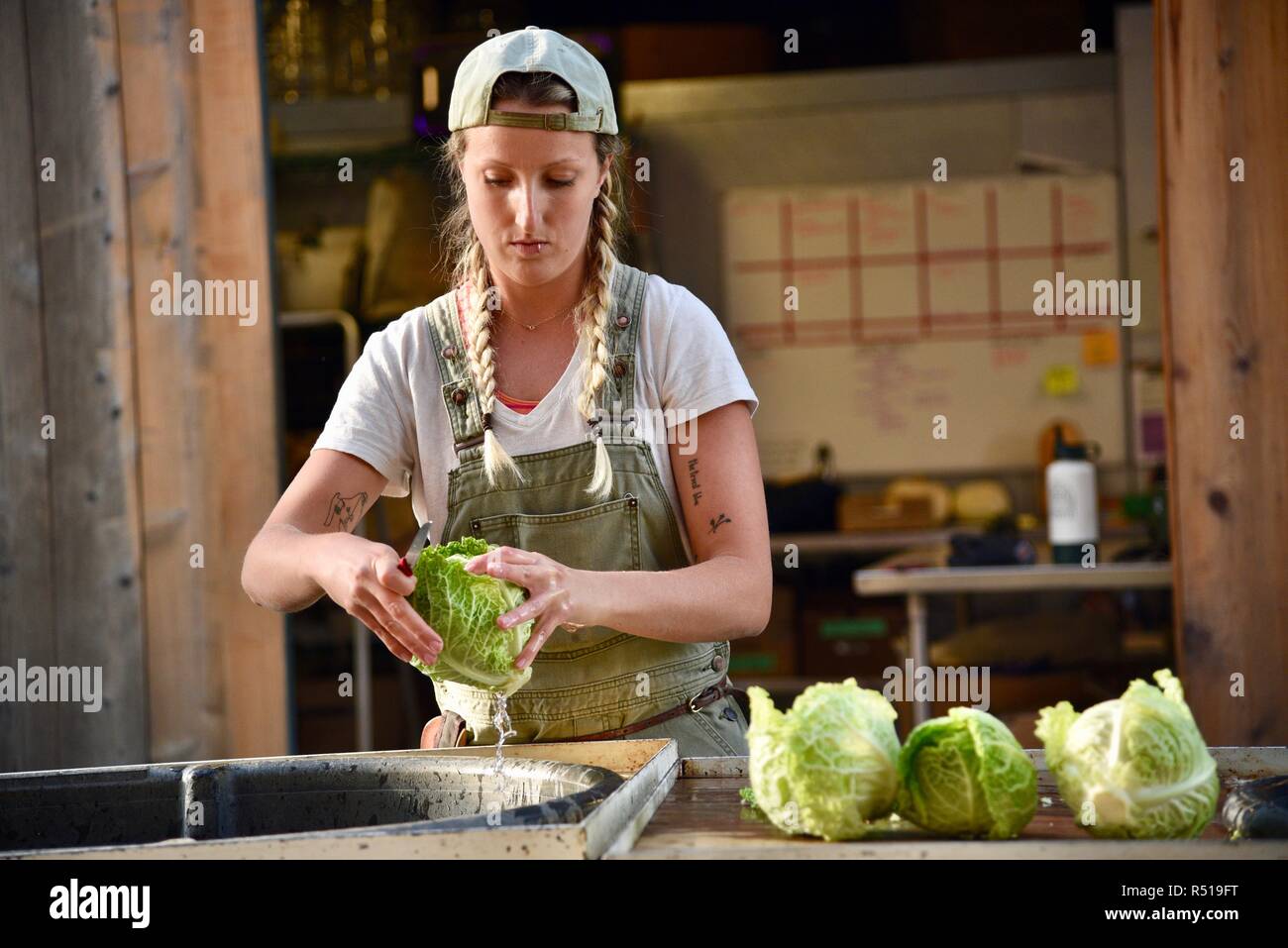 Attractive, young female farmer, blonde braids & hat, washing organic ...