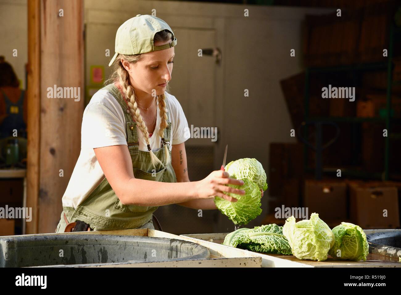 Attractive, young female farmer, blonde braids & hat, washing organic ...