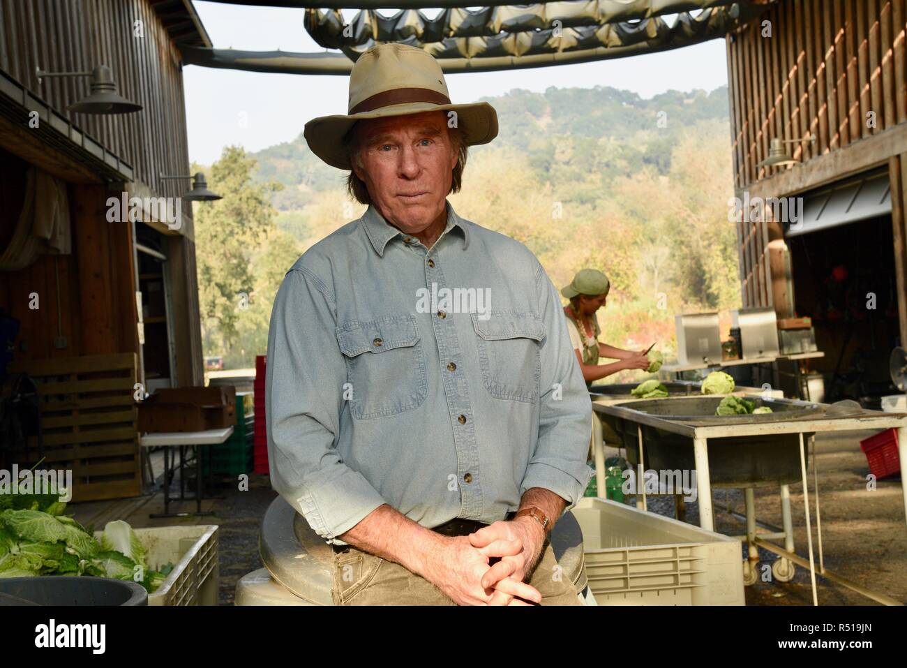 Male farmer portrait in packing & washing shed, Peter, co-owner of ...