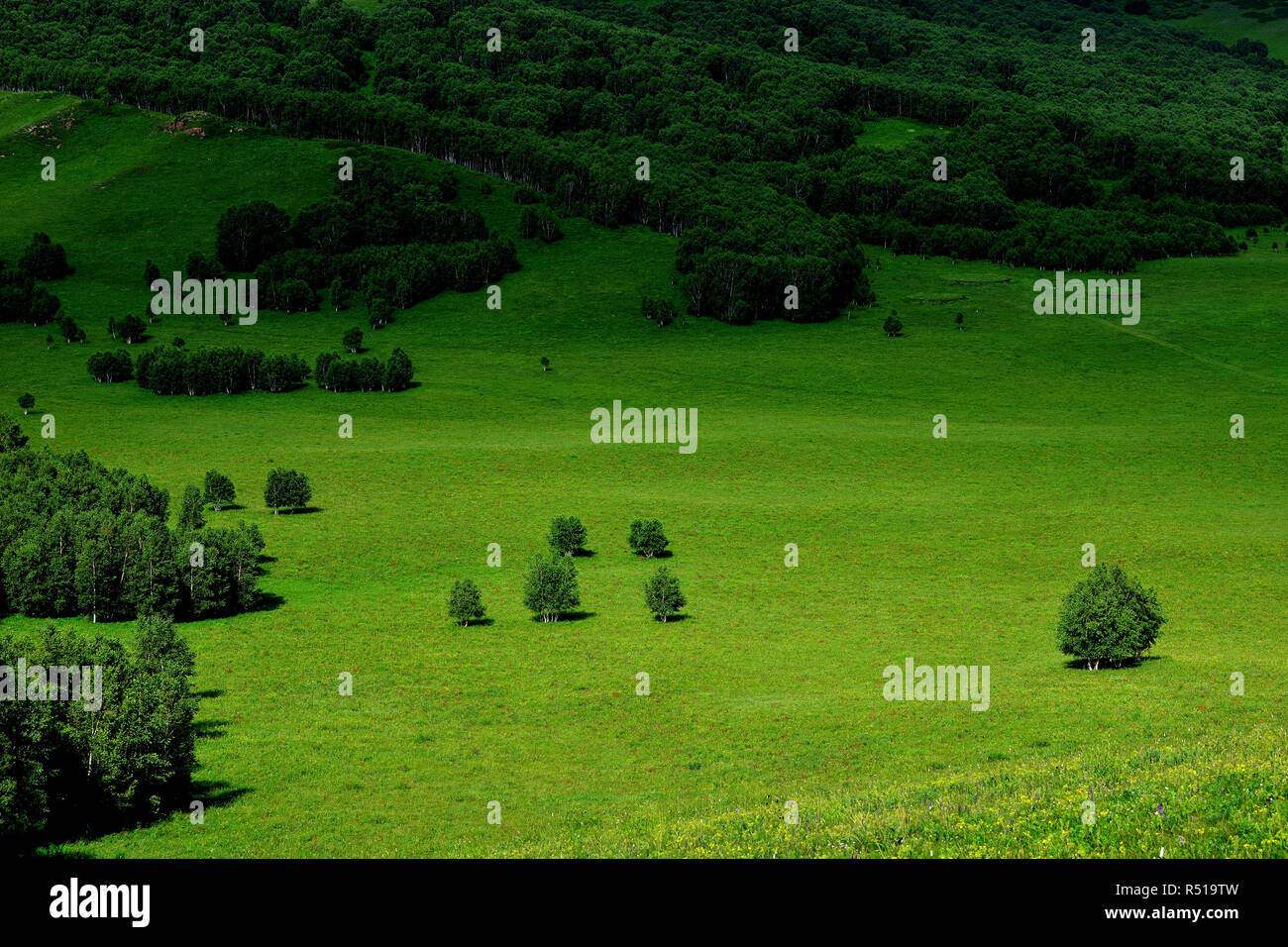 Bashang grassland hebei province china hi-res stock photography and ...