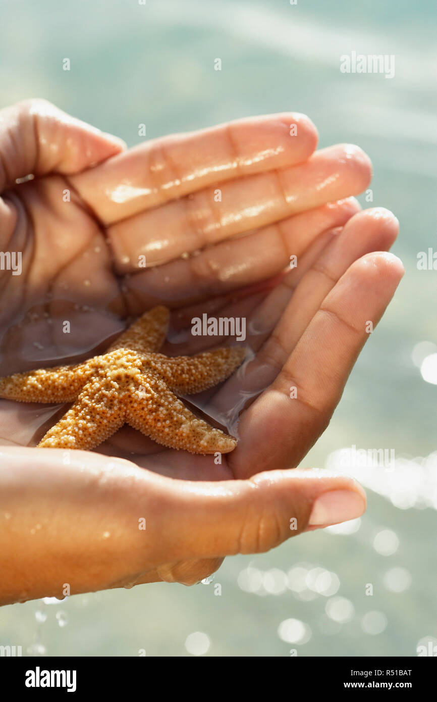 Marine marvel hi-res stock photography and images - Alamy
