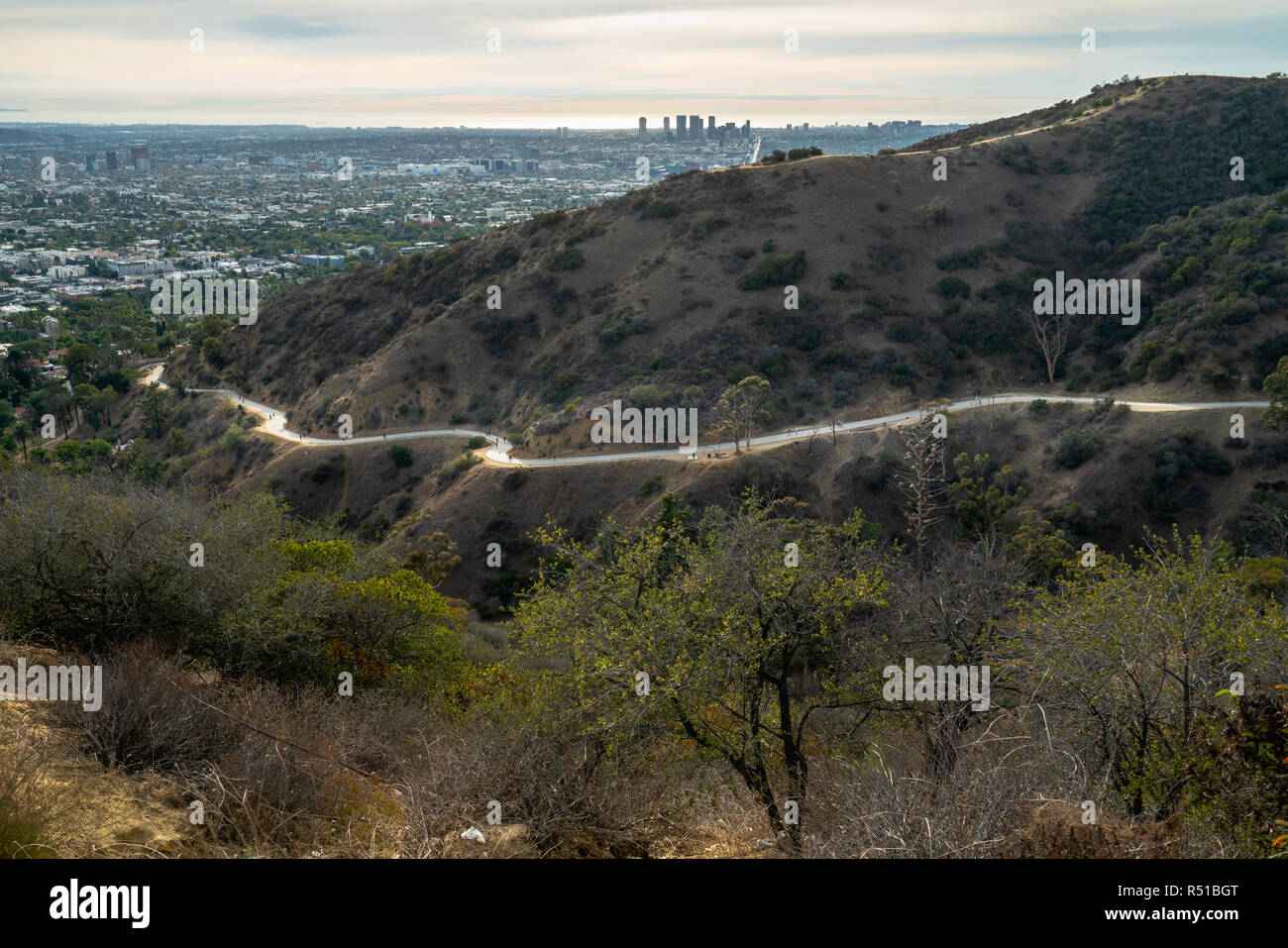 Los Angeles and Hollywood Hills, view from Runyon Canyon Park, Los ...