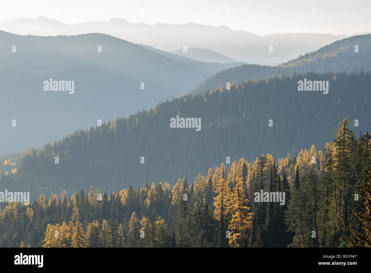 Selkirk Mountains, Idaho Stock Photo - Alamy