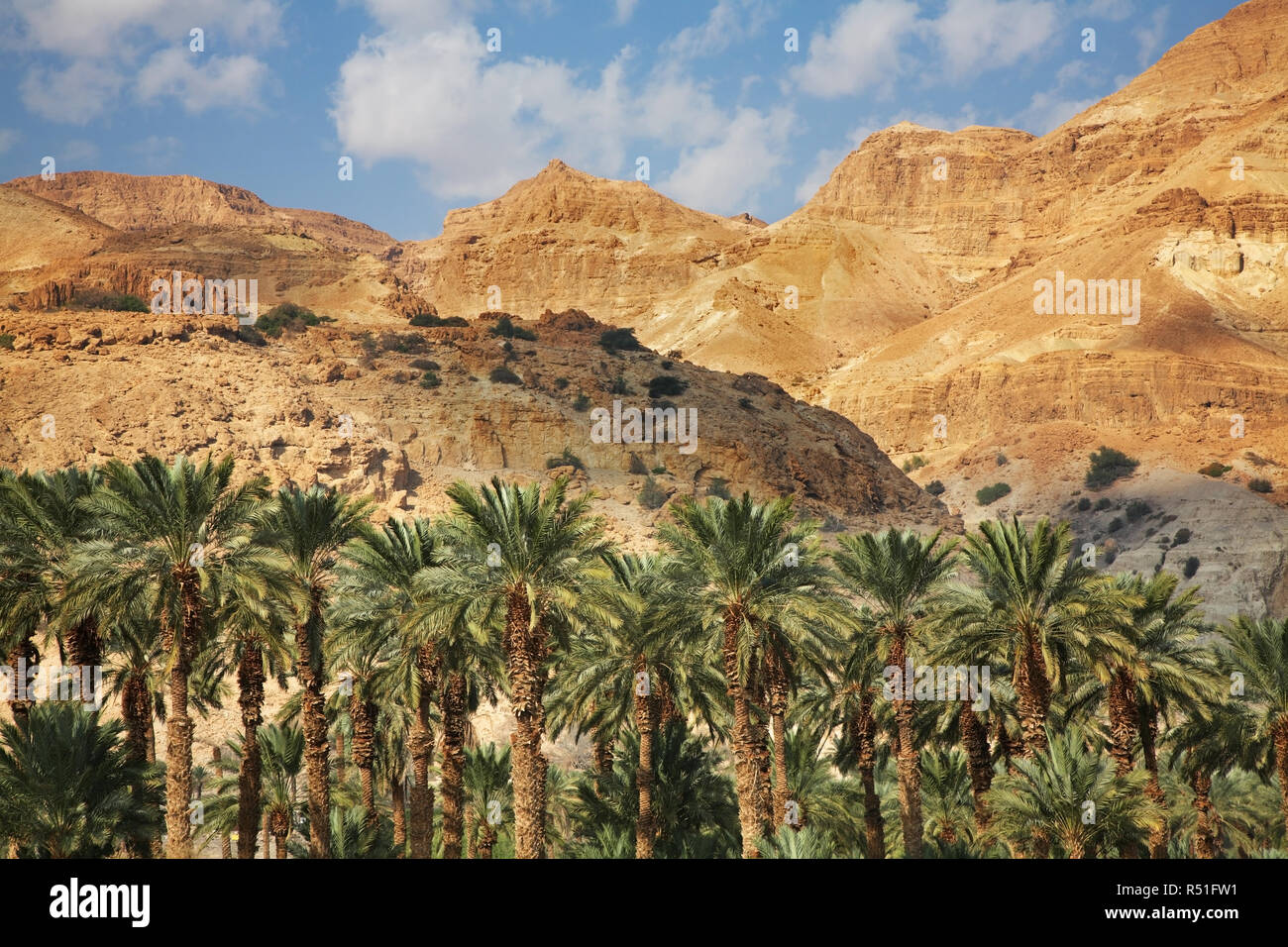 Mountain near Ein Gedi. Israel Stock Photo - Alamy