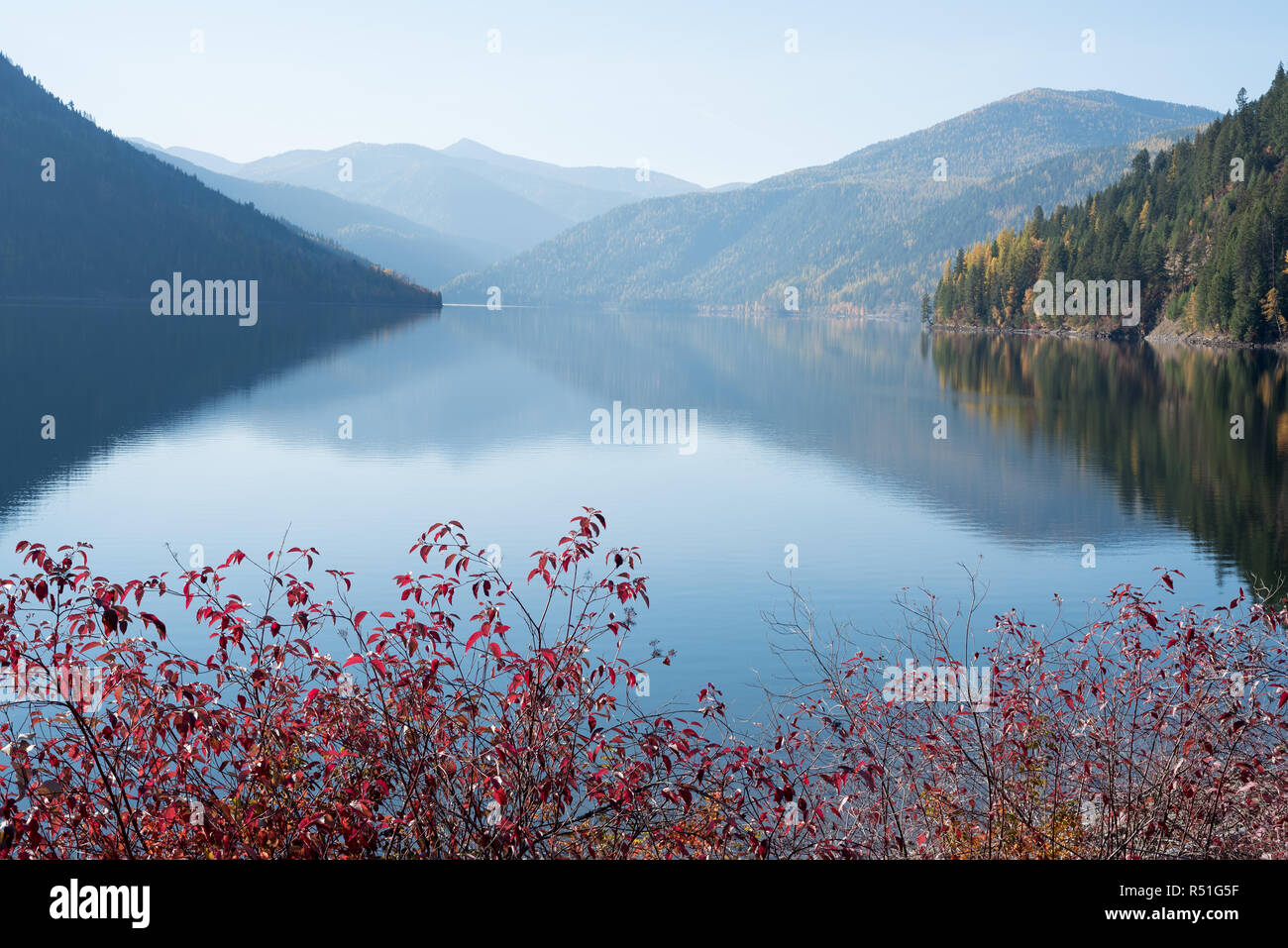 Colville national forest hi-res stock photography and images - Alamy