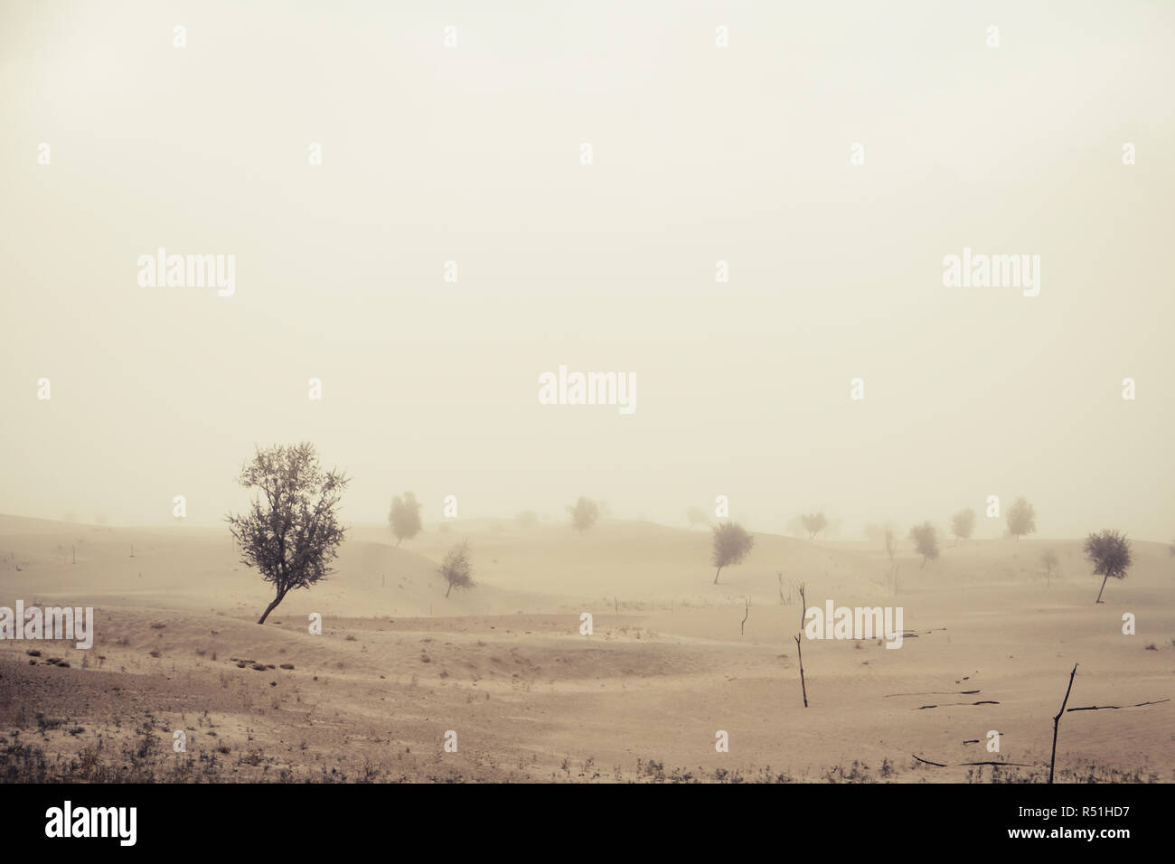 Cold desert pakistan hi-res stock photography and images - Alamy