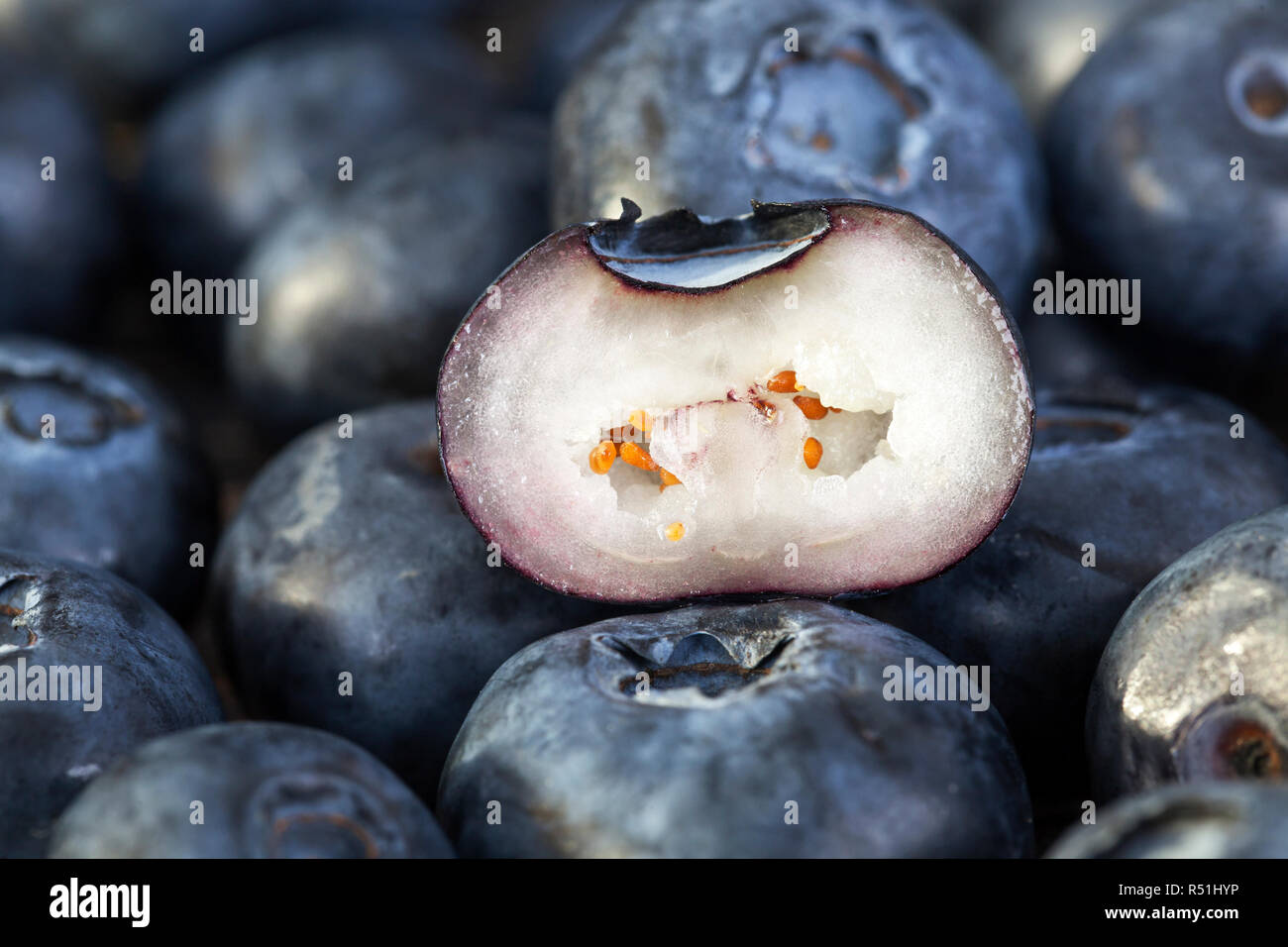 flesh blueberry berries, whole and cut in the kitchen Stock Photo - Alamy