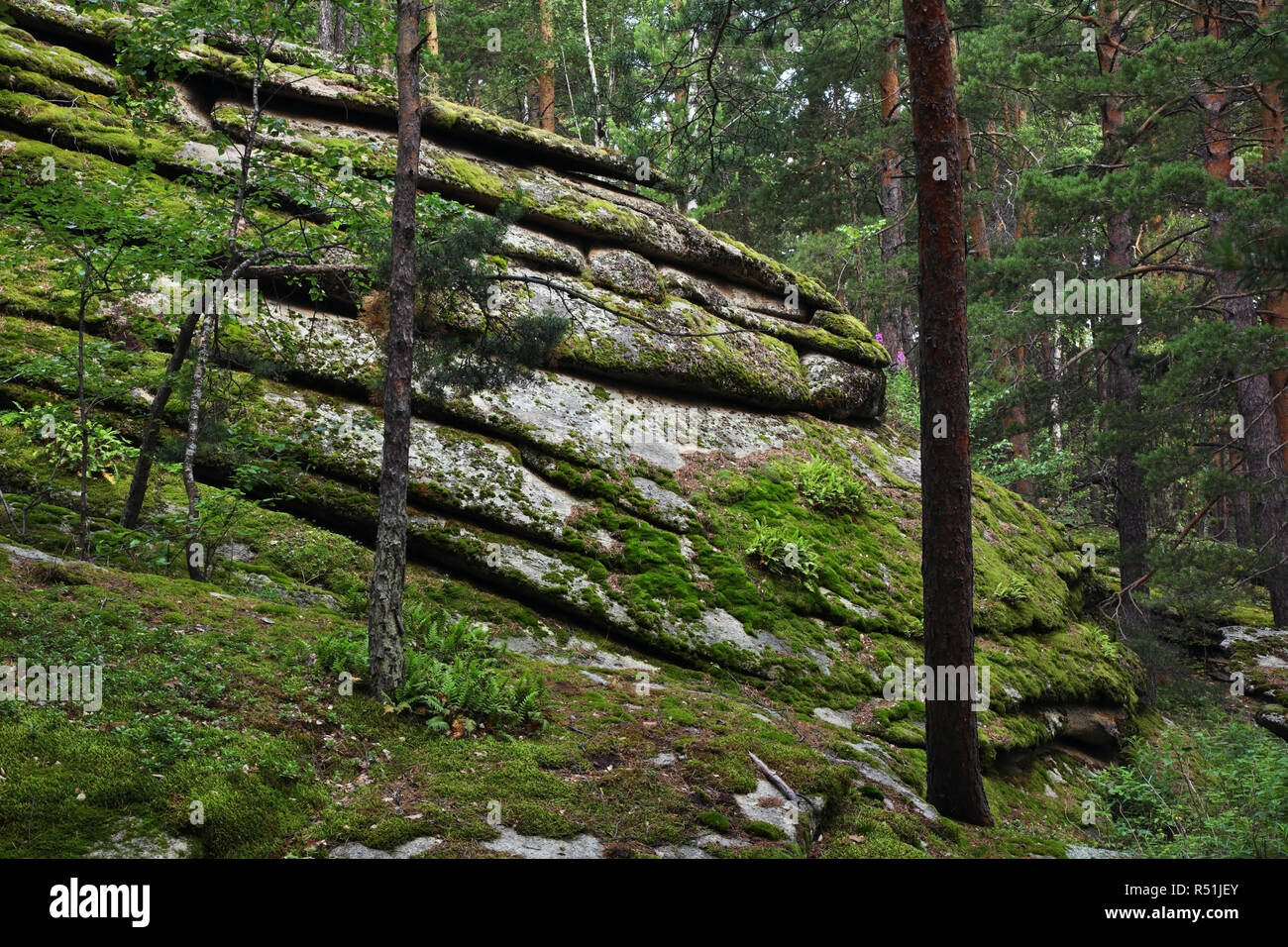 The karkaraly national park hi-res stock photography and images - Alamy