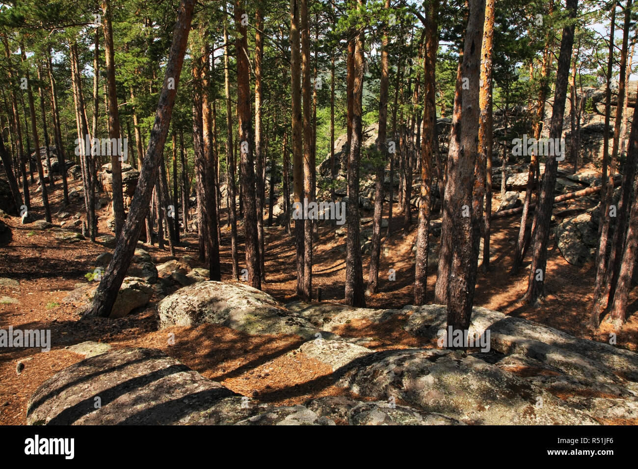 National Park Karkaraly near Karkaralinsk. Karaganda Oblast. Kazakhstan ...