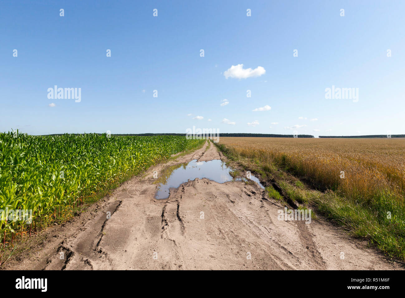 Puddles of mud hi-res stock photography and images - Alamy