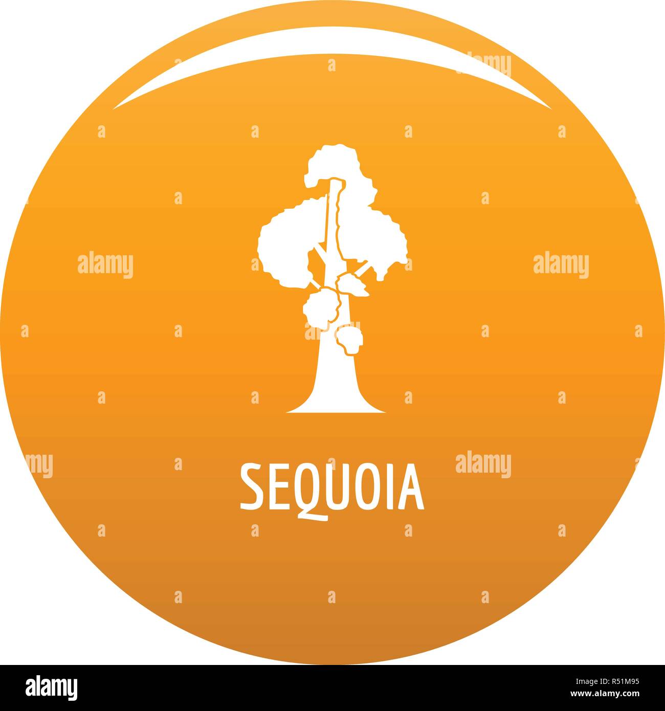 Sequoia tree drawing vector hi-res stock photography and images - Alamy