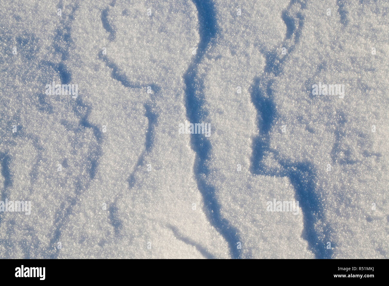 snow photographed in the winter season, which appeared after a snowfall ...