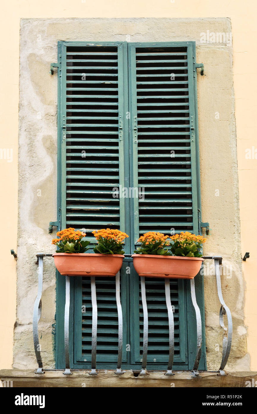 Old italian traditional window with flowers in Pisa. Italy Stock Photo ...