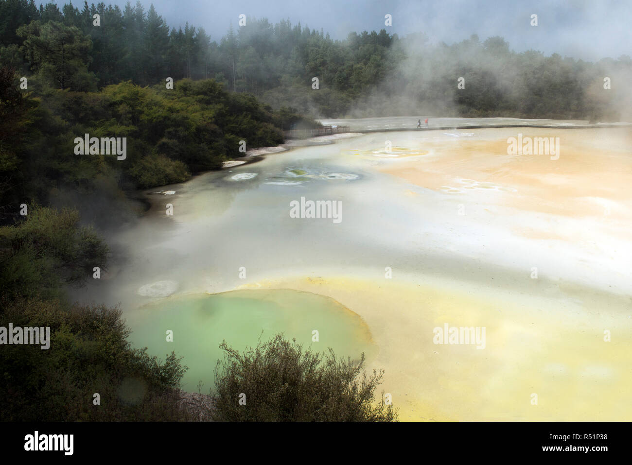 Wai o Tapu, New Zealand Geothermal Park, Waiotapu Stock Photo - Alamy