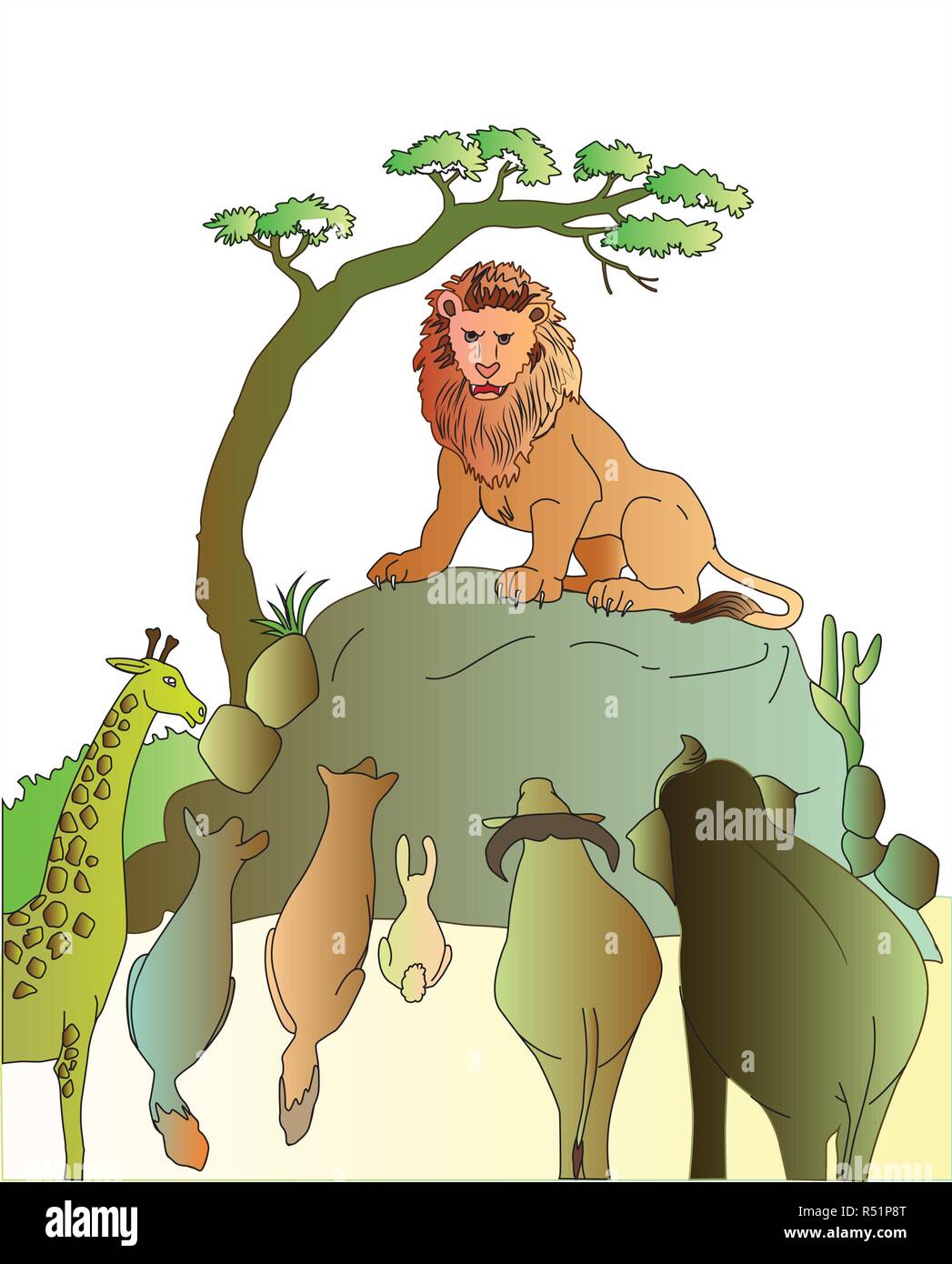 Lion King Animals Hd