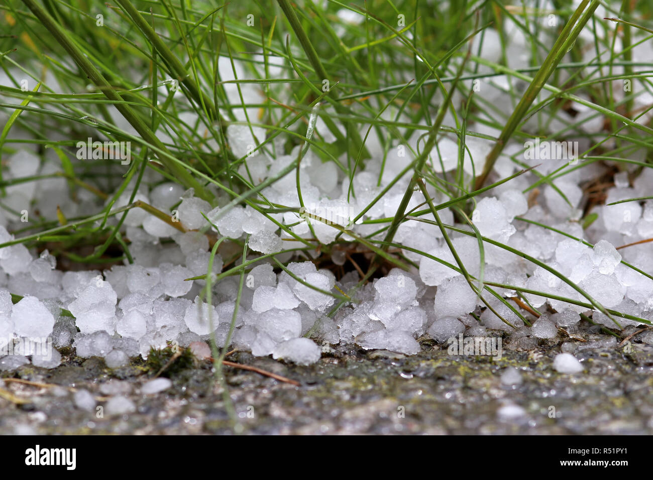 Sleet Storm High Resolution Stock Photography and Images - Alamy