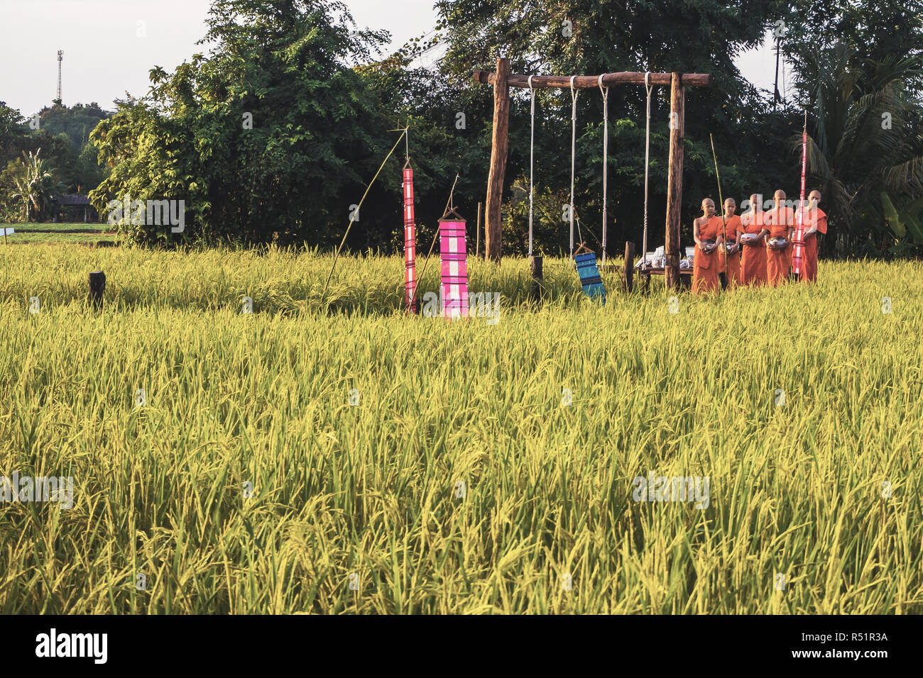 Thai monks rice hi-res stock photography and images - Alamy