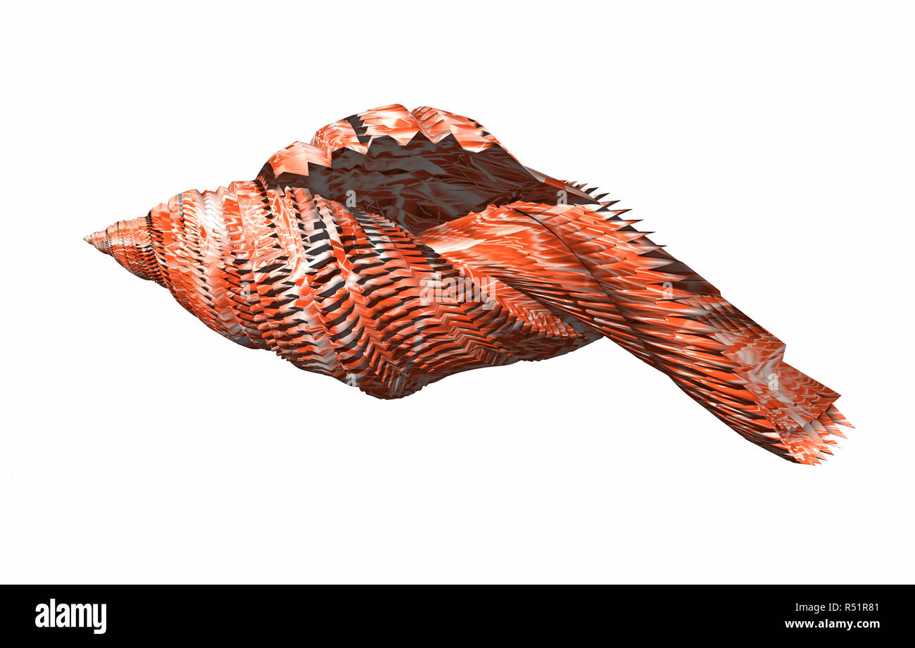 snail shell isolated Stock Photo - Alamy