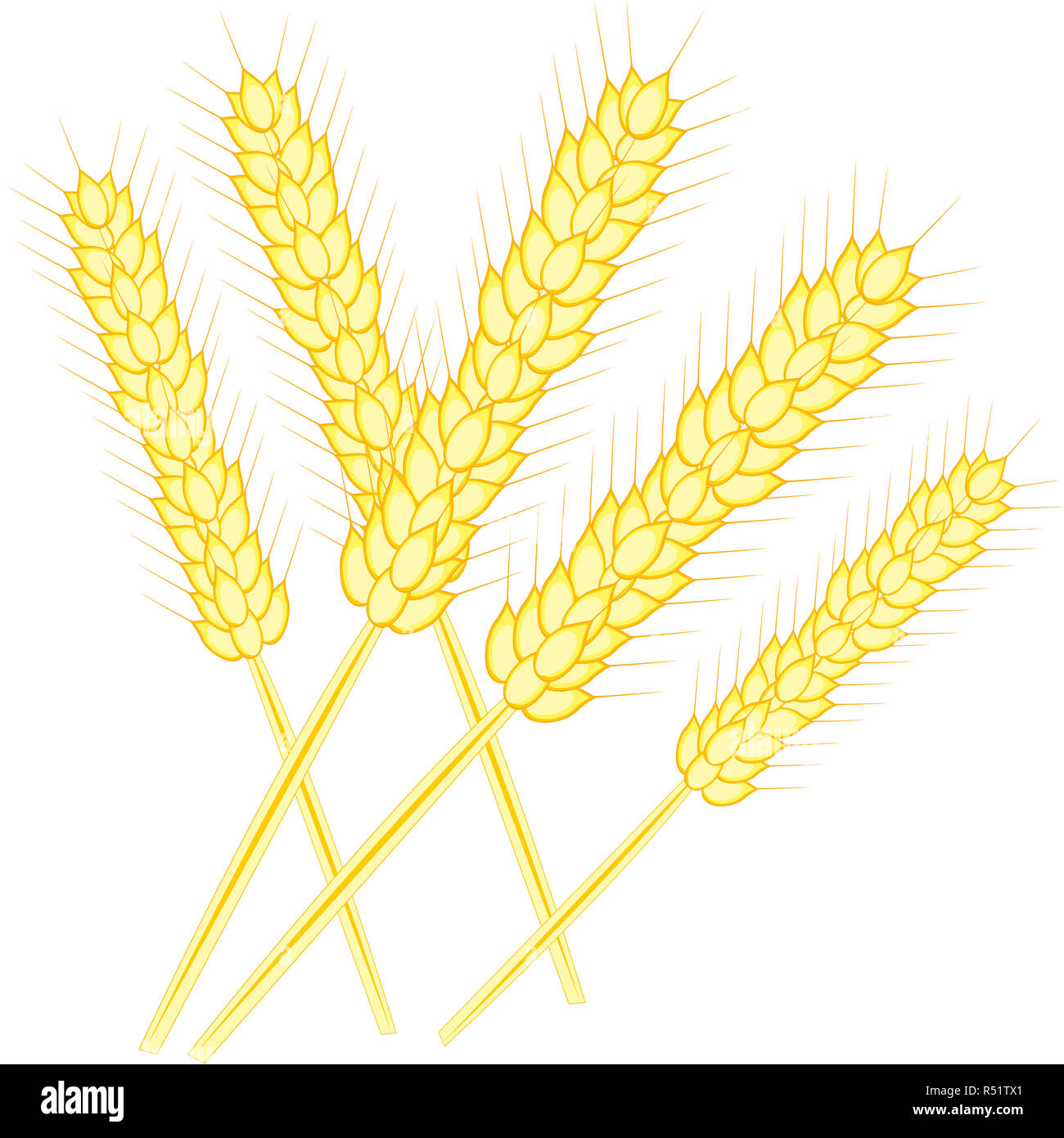 Ear of the wheat Stock Photo - Alamy
