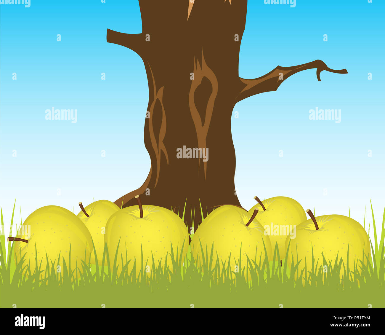 Apple in herb Stock Photo - Alamy