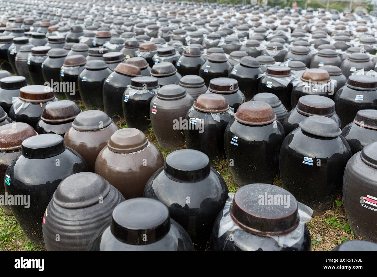 Storage of Vinegar in Barrel Stock Photo - Alamy
