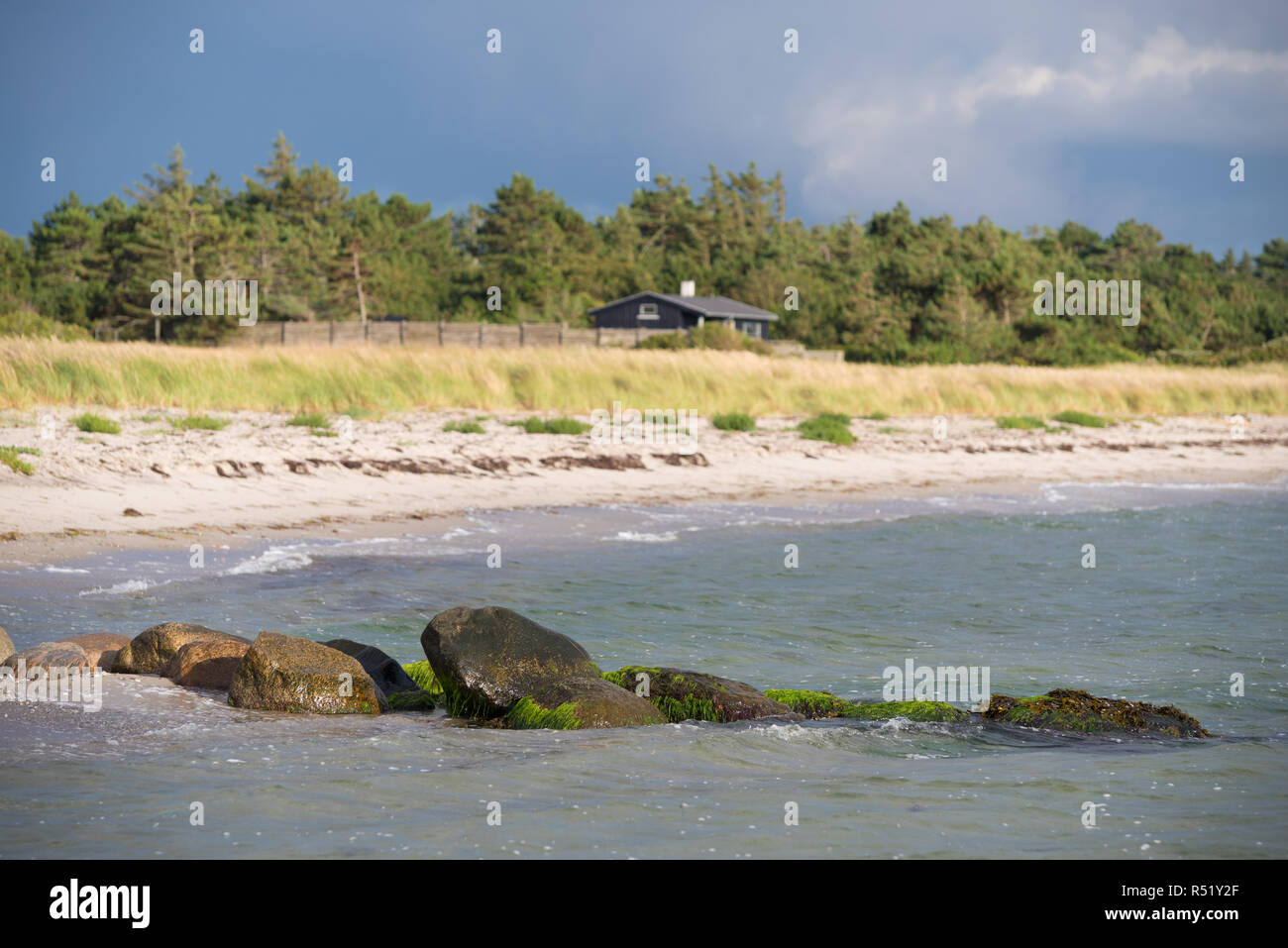 danish beach landscape Stock Photo - Alamy