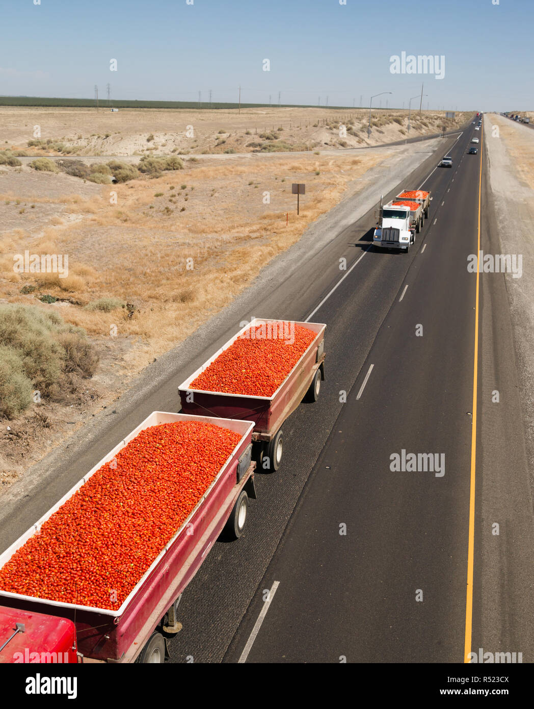 Tomato Harvest Truck High Resolution Stock Photography and Images - Alamy