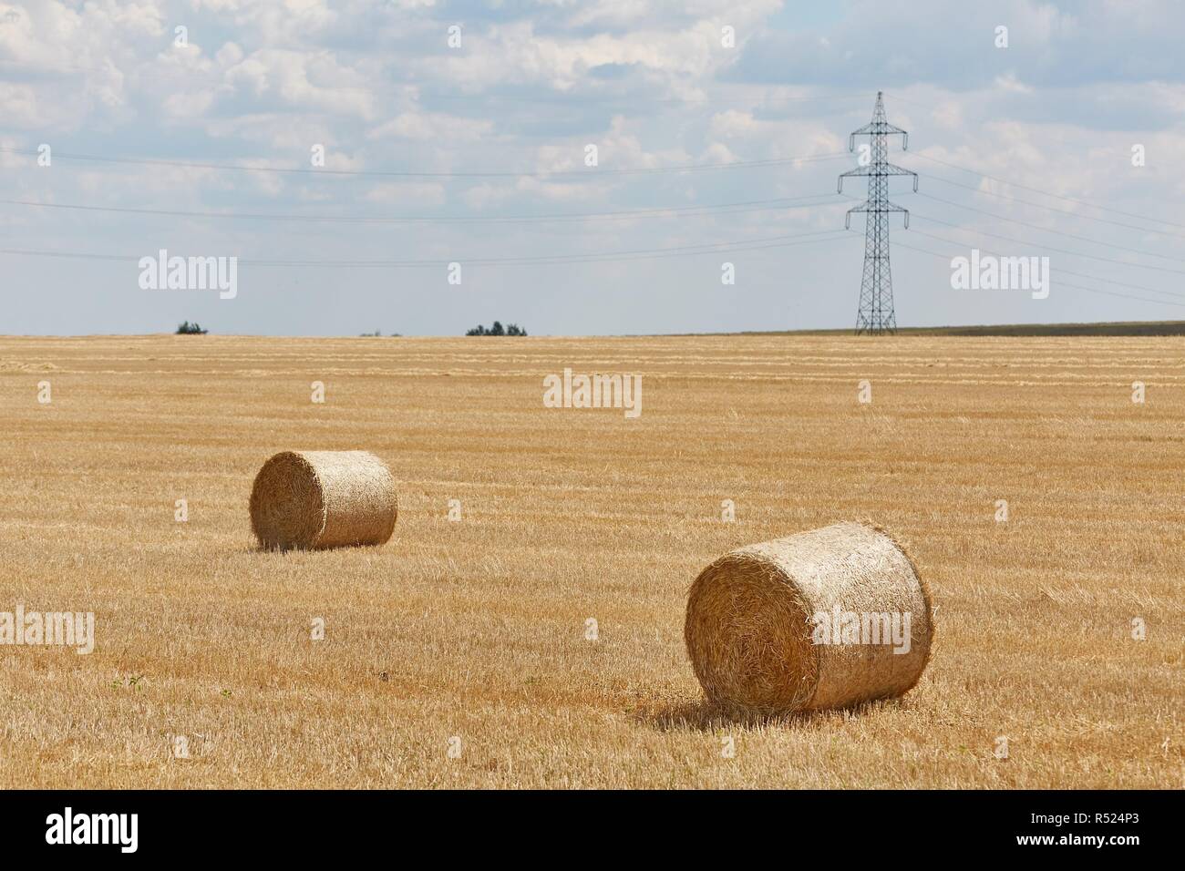 Agricultural field with bales Stock Photo - Alamy