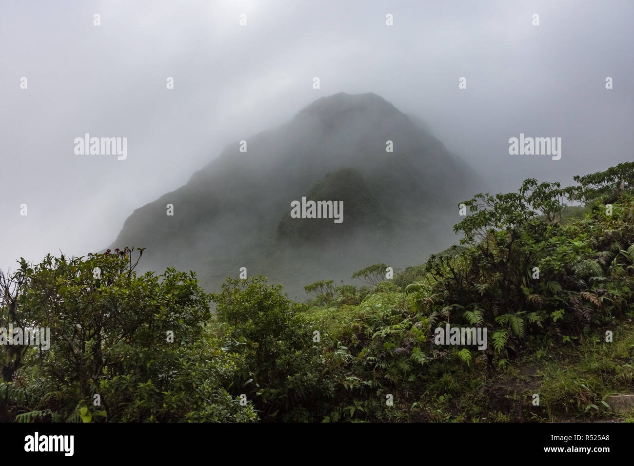 The Mount Pelee Volcano and the fog in the jungle of Martinique Stock ...