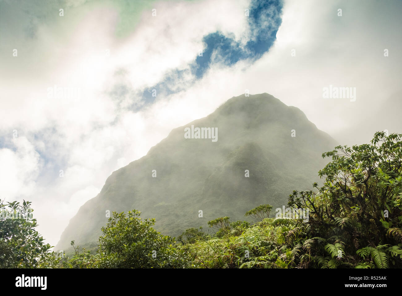 The Mount Pelee Volcano and the fog in the jungle of Martinique Stock ...