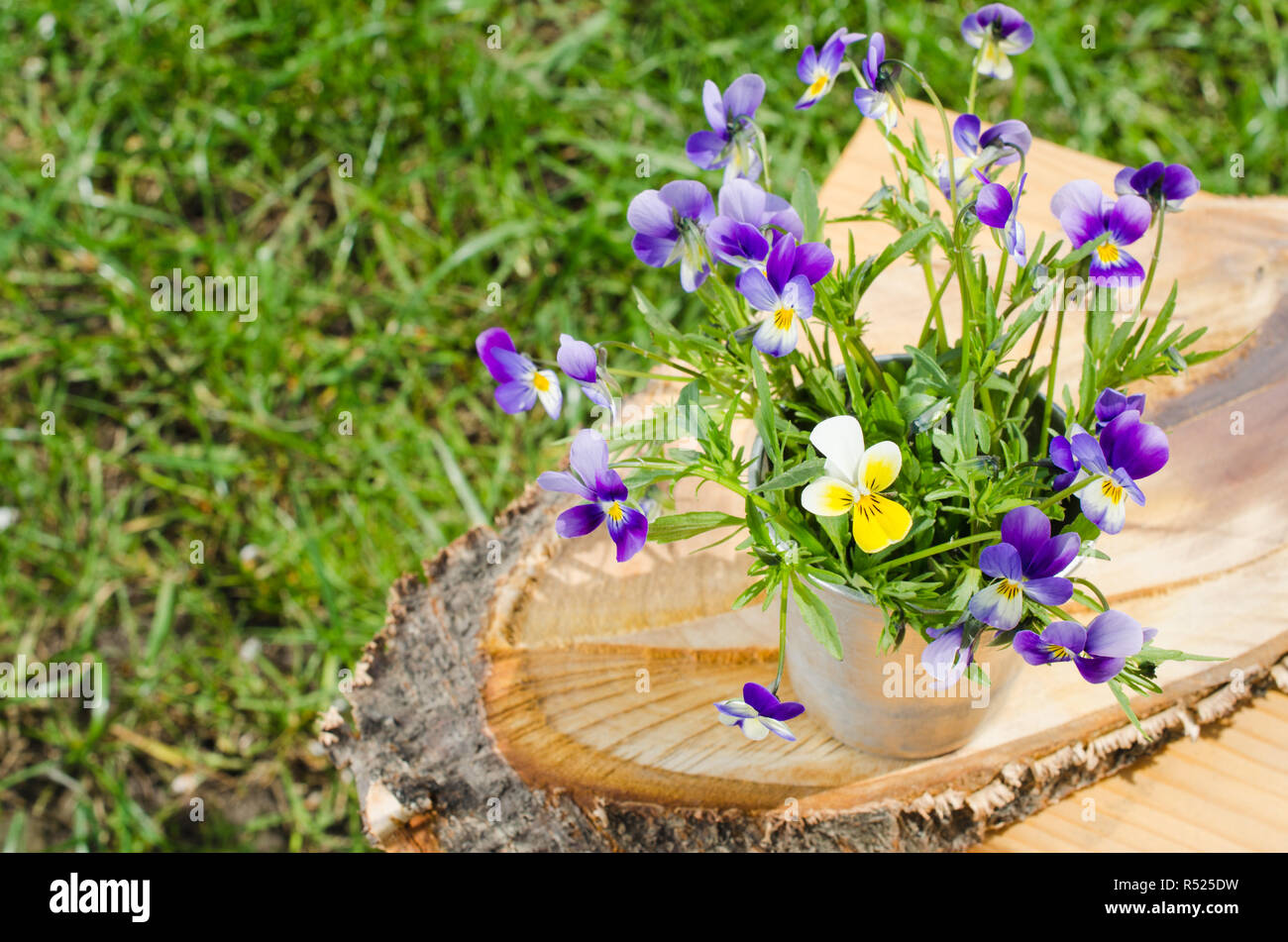 Bouquet of spring flowers in a vase on a cut tree Stock Photo - Alamy