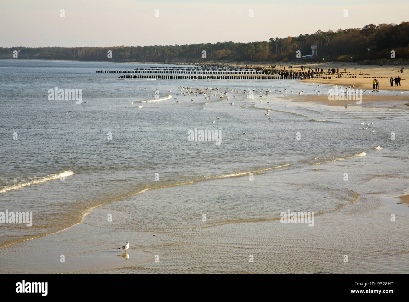 Baltic Sea in Ustka. Poland Stock Photo - Alamy