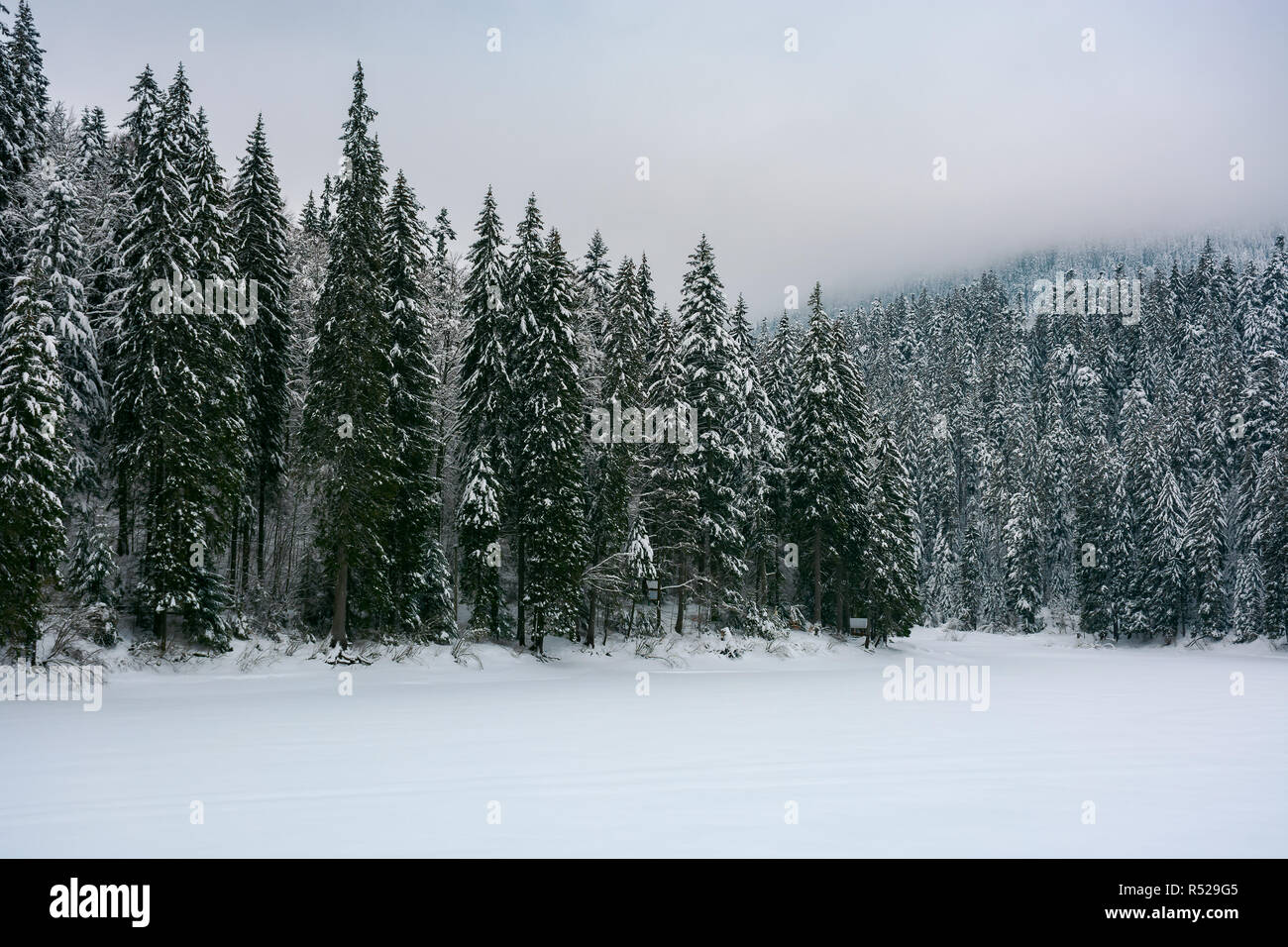 Snow overcast hi-res stock photography and images - Alamy