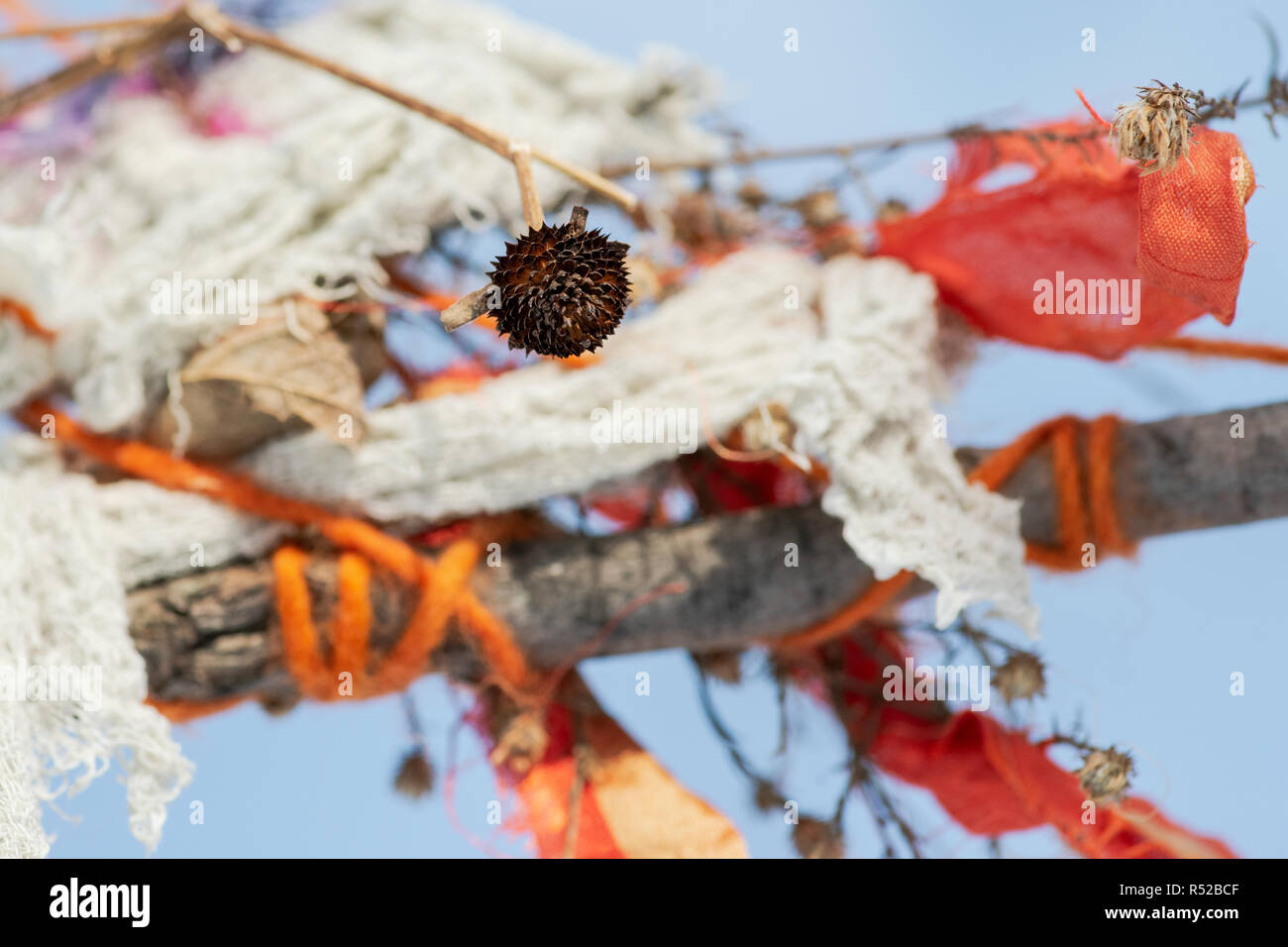Native American tradition. Blessing of the trees. Prayer ties in forest ...