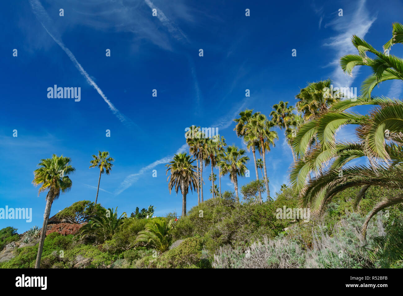 City of laguna beach hi-res stock photography and images - Alamy
