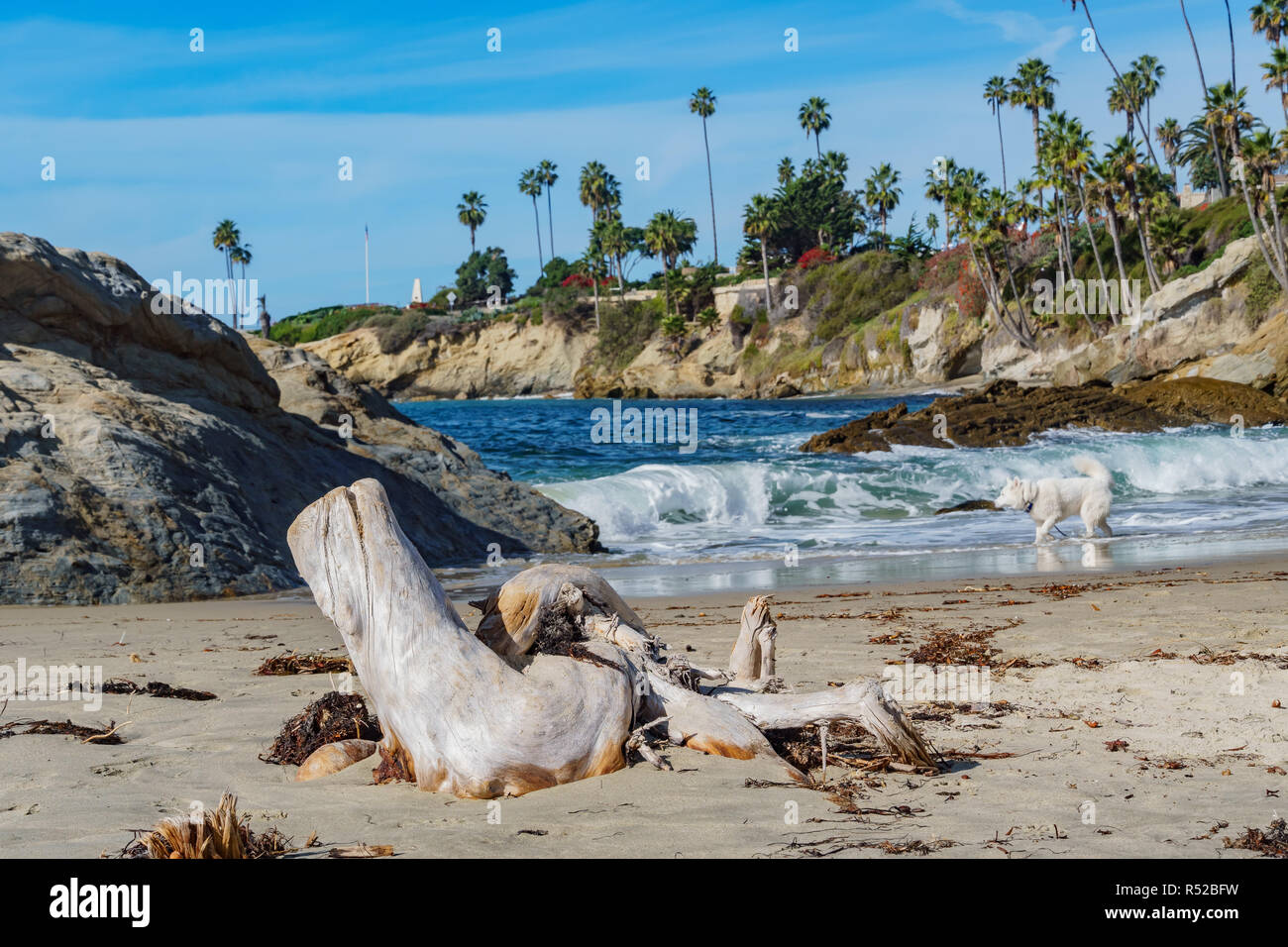 Beautiful scenery around Laguna Beach, California Stock Photo - Alamy