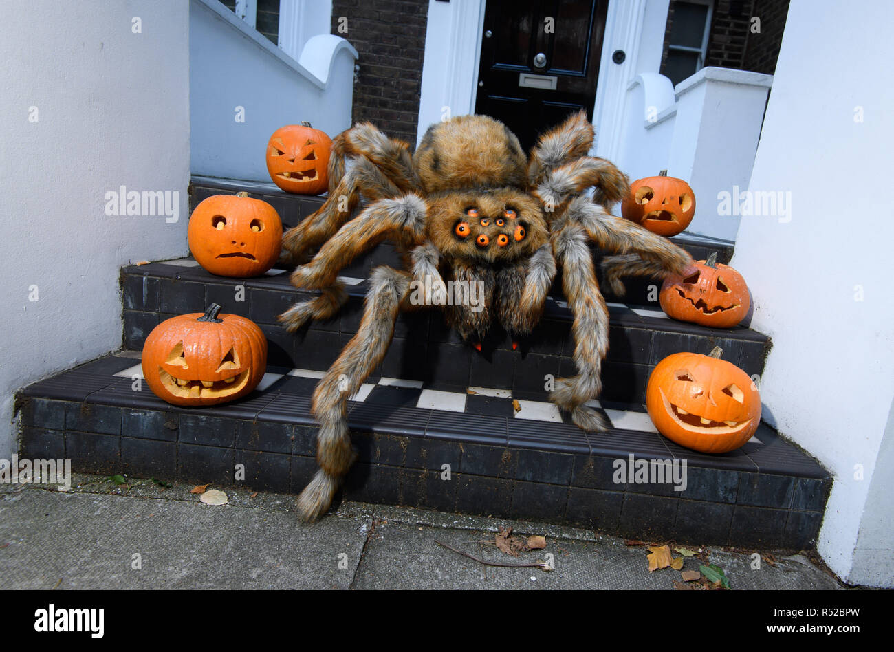 Australian fanta hi-res stock photography and images - Alamy