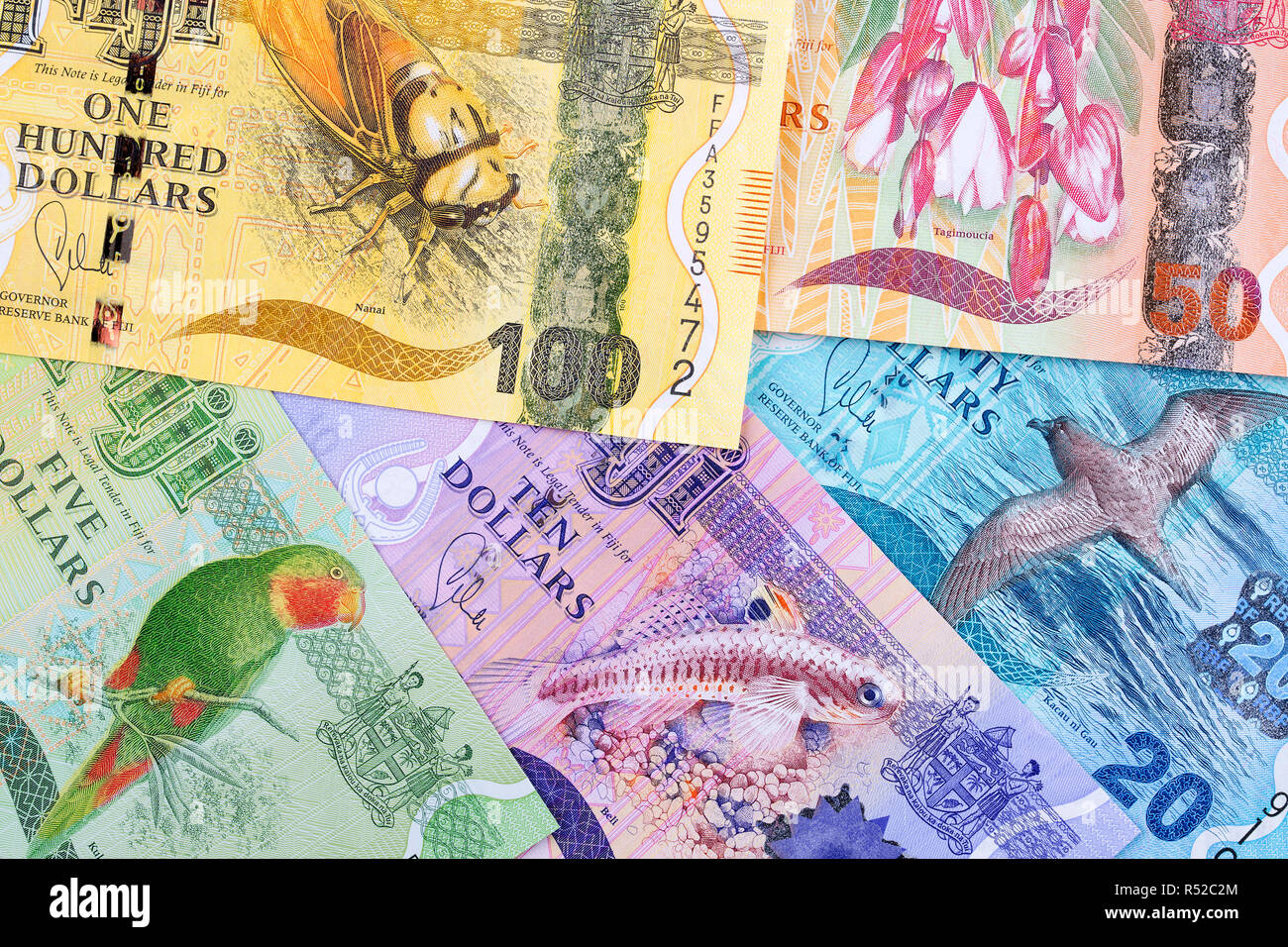 Fijian money, a business background Stock Photo - Alamy