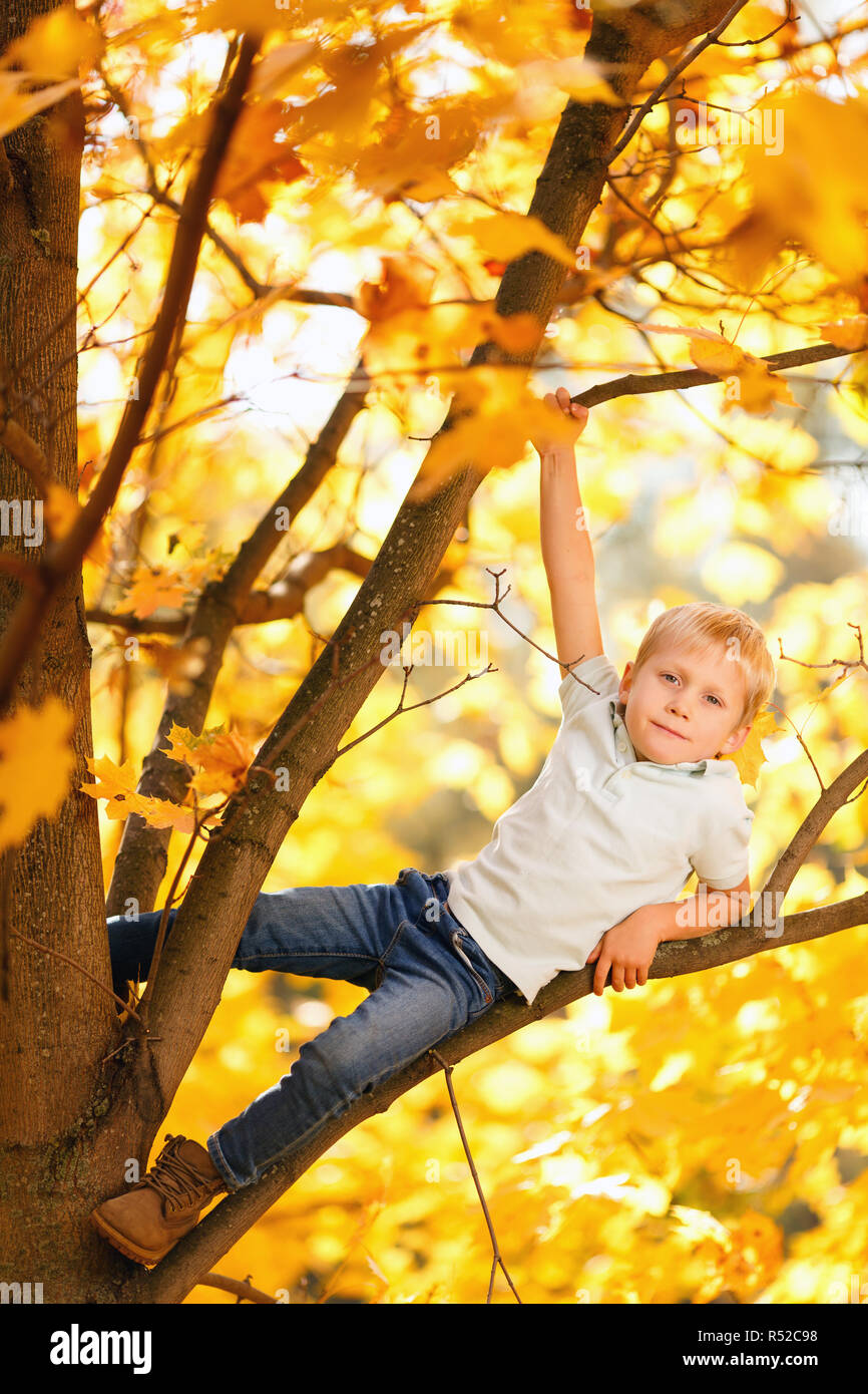 Boy sitting in tree climbed hi-res stock photography and images - Alamy