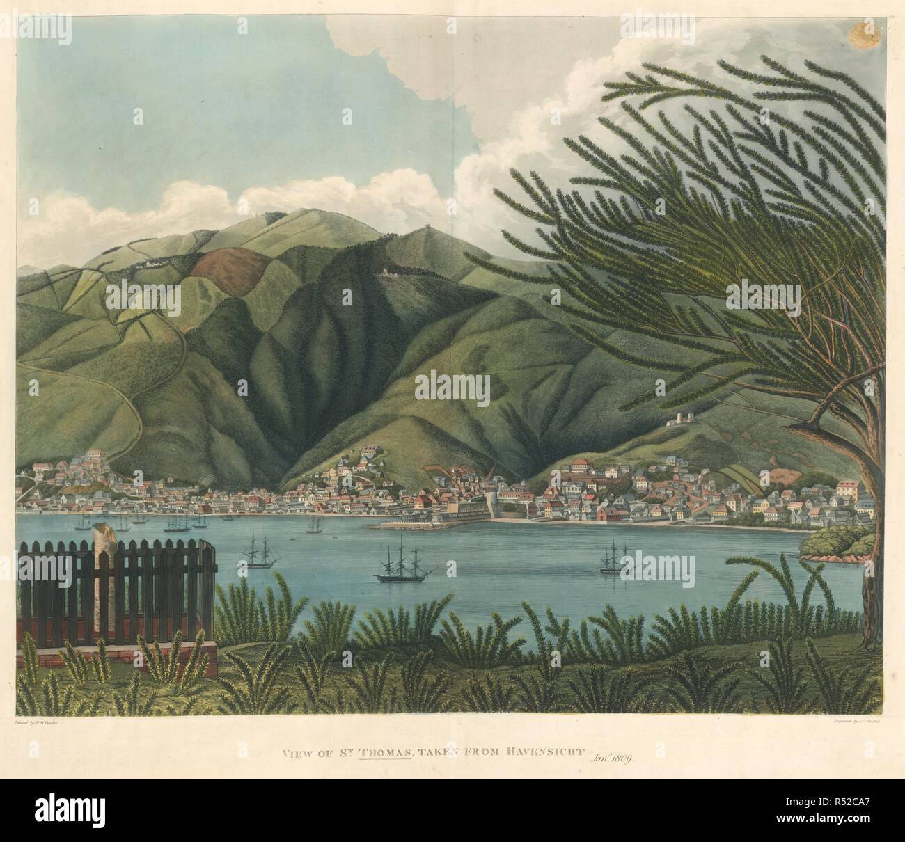 St. Thomas. View of St. Thomas, taken from Havensicht, Jan. 18. London ...