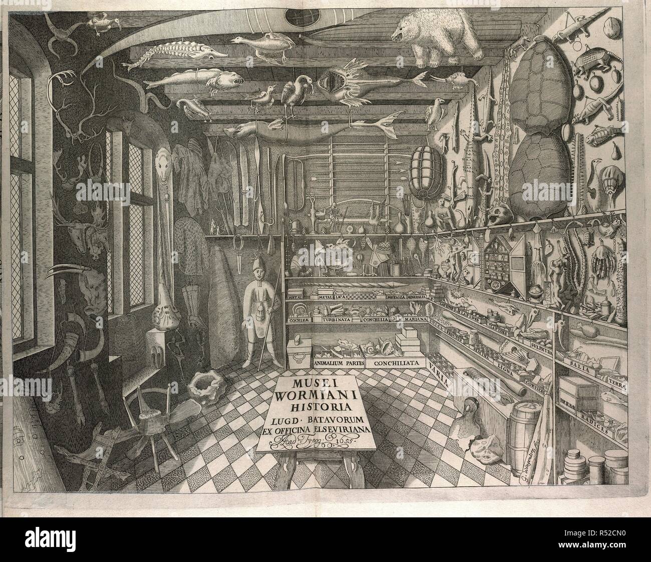 Lugduni batavorum hi-res stock photography and images - Alamy