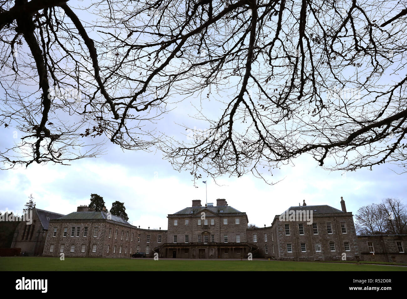 Dutch elm disease uk hi-res stock photography and images - Alamy