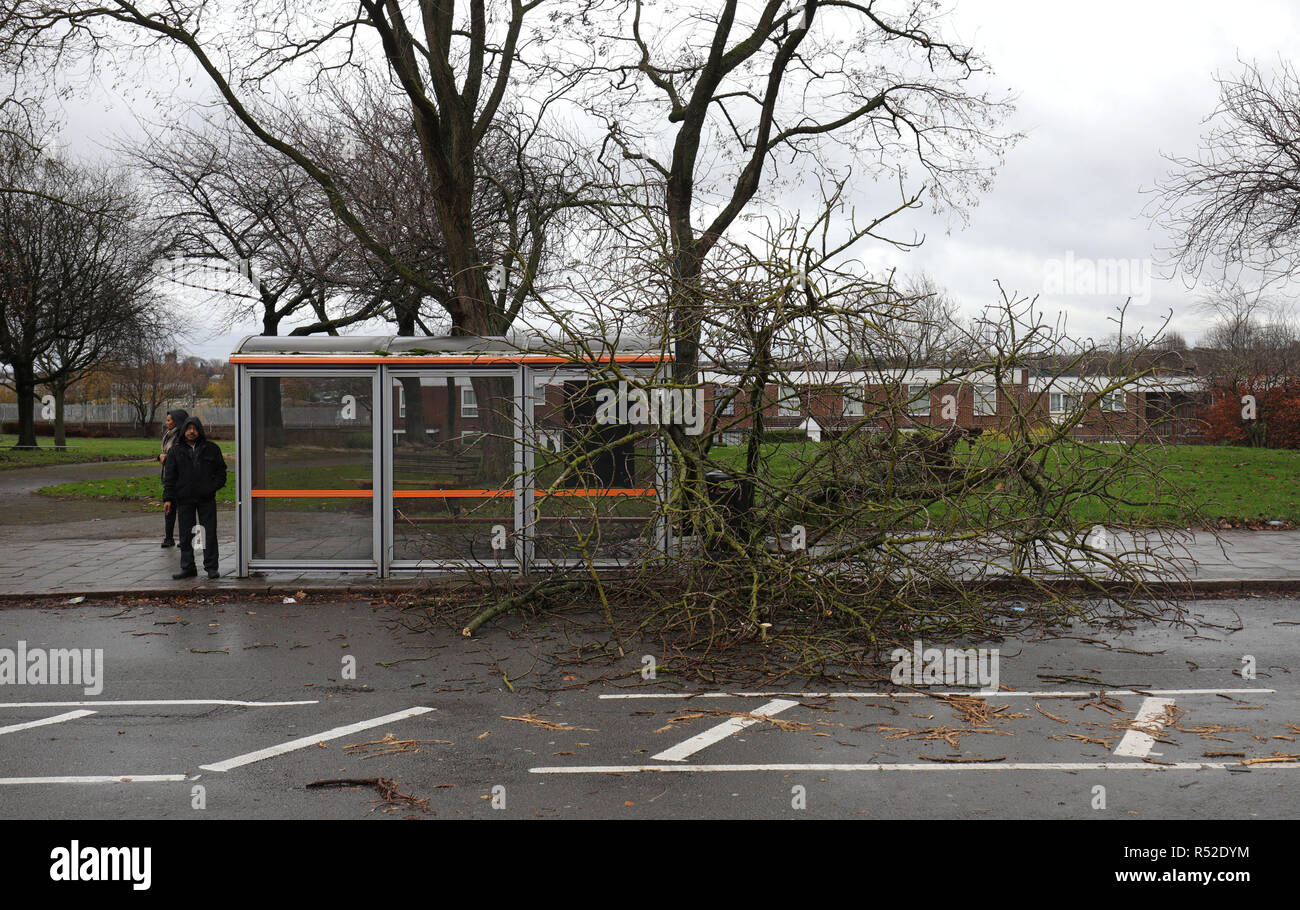 Heavy winds hi-res stock photography and images - Alamy