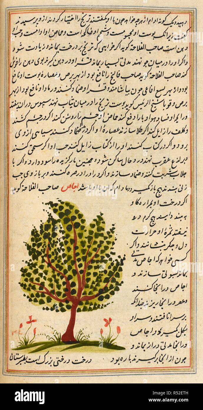 Gharaib hi-res stock photography and images - Alamy