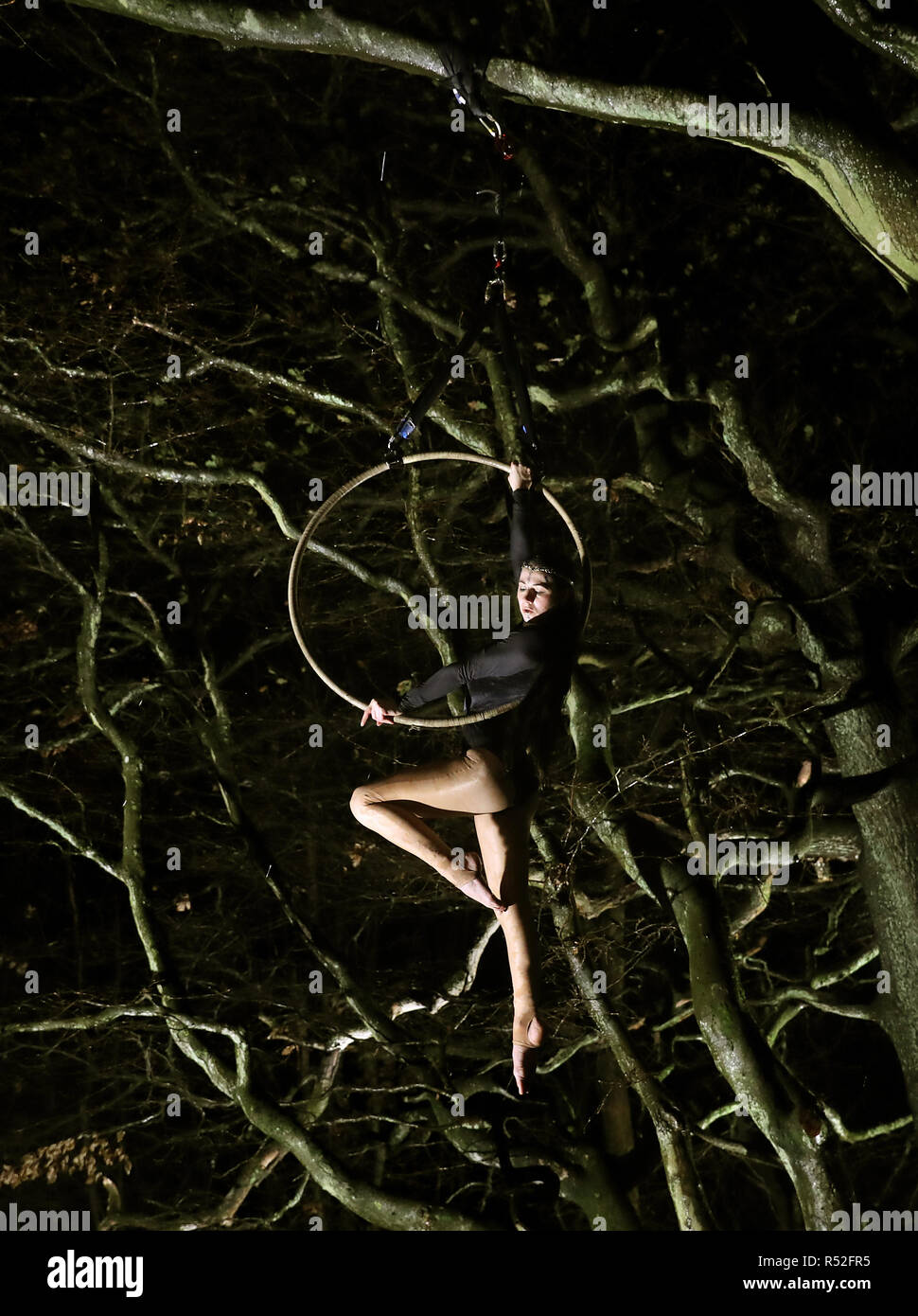 She glides through tree tops hi-res stock photography and images - Alamy