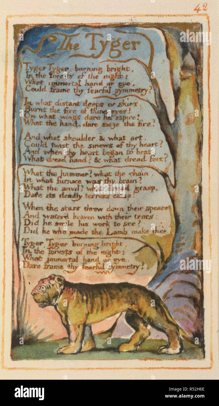 Tiger tiger poem william blake hi-res stock photography and images - Alamy