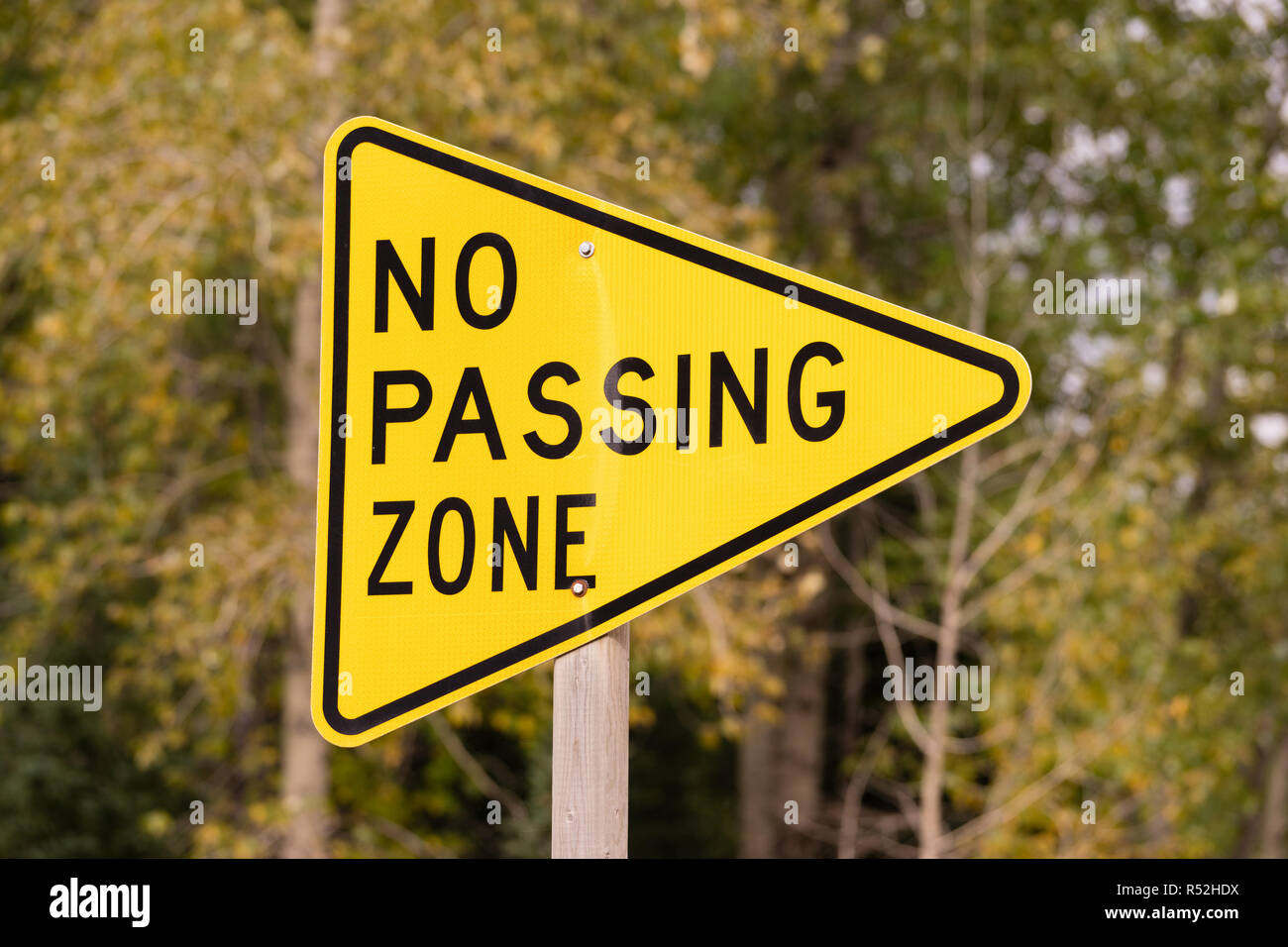 No Passing Sign